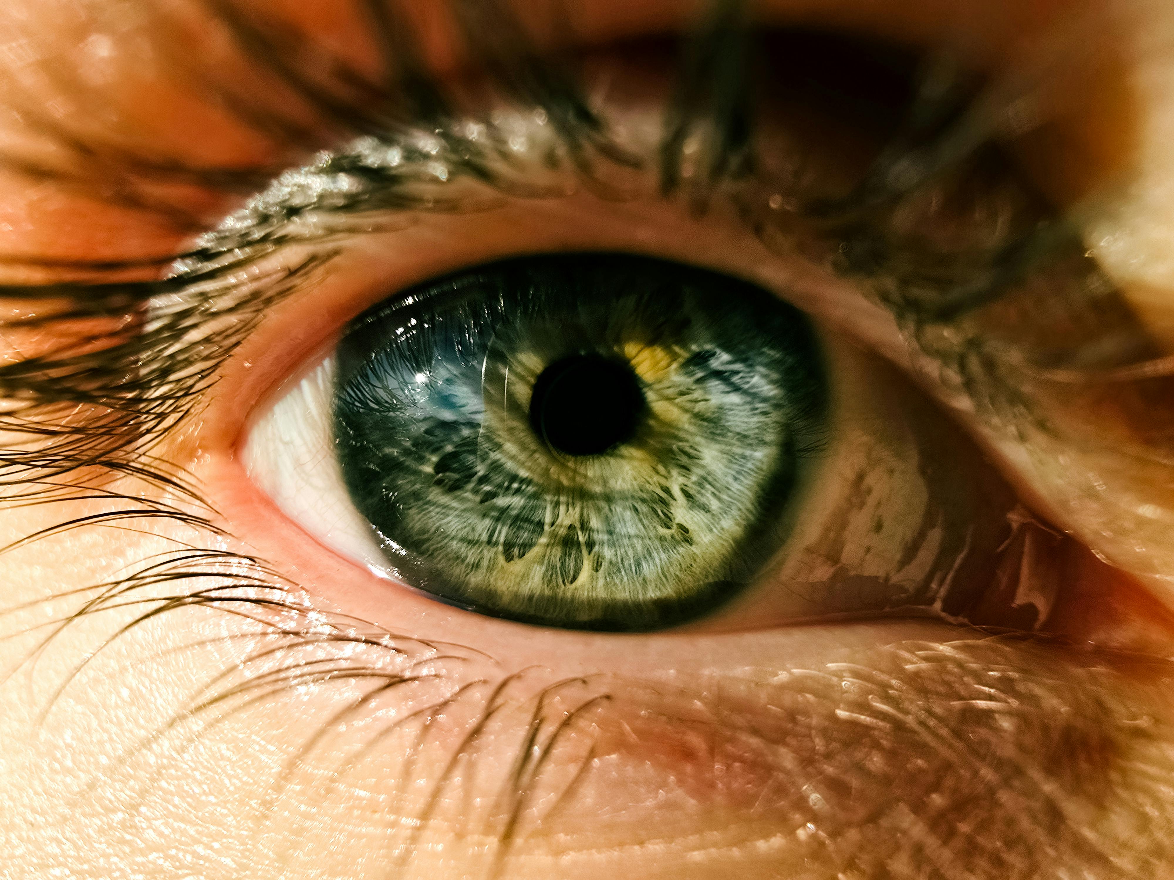 Close-Up of a Human Eye with Detailed Iris Pattern · Free Stock Photo