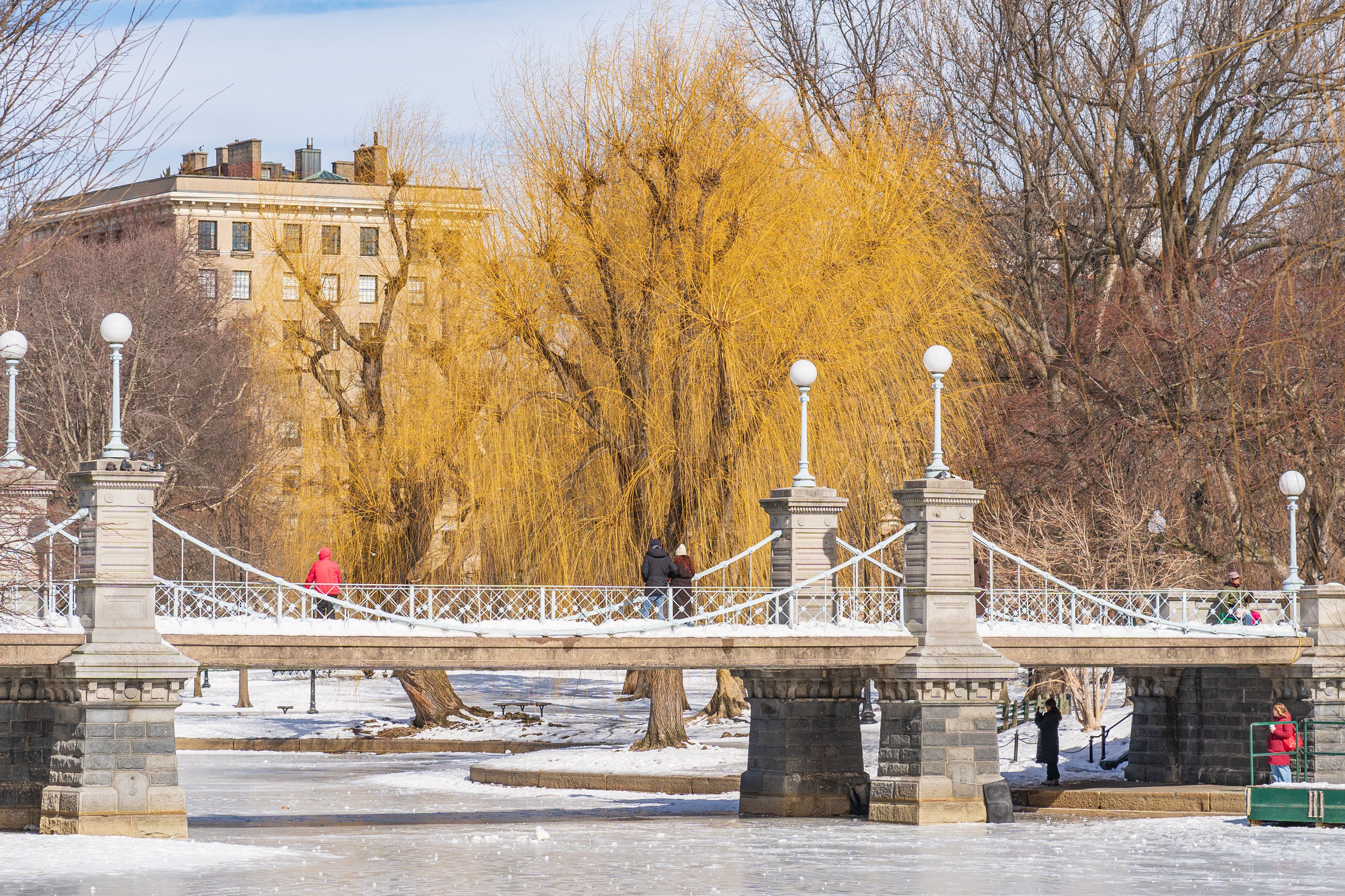 Winter Scene at Boston Public Garden Bridge · Free Stock Photo