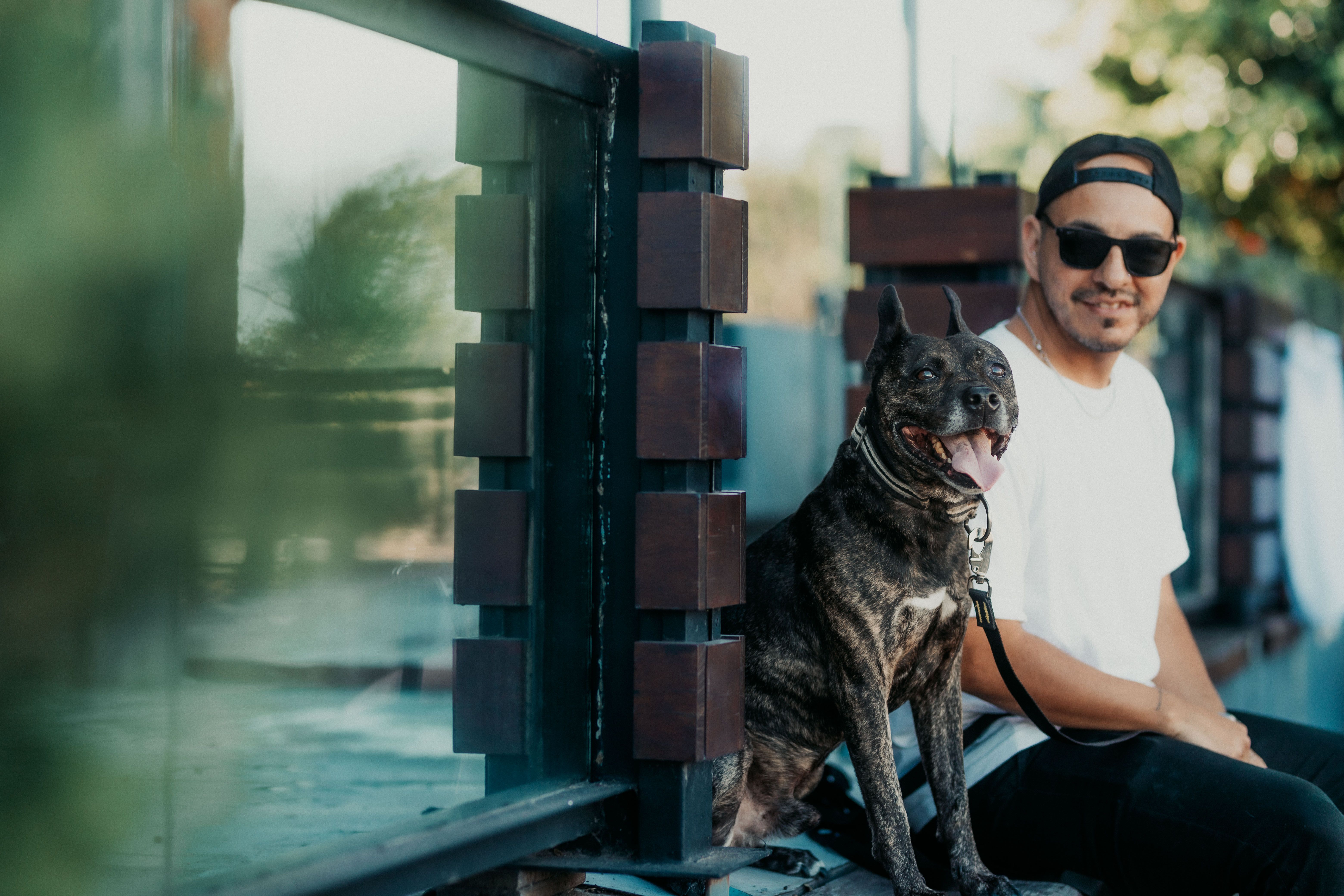 Man with Smiling Dog Outdoors in Buenos Aires · Free Stock Photo