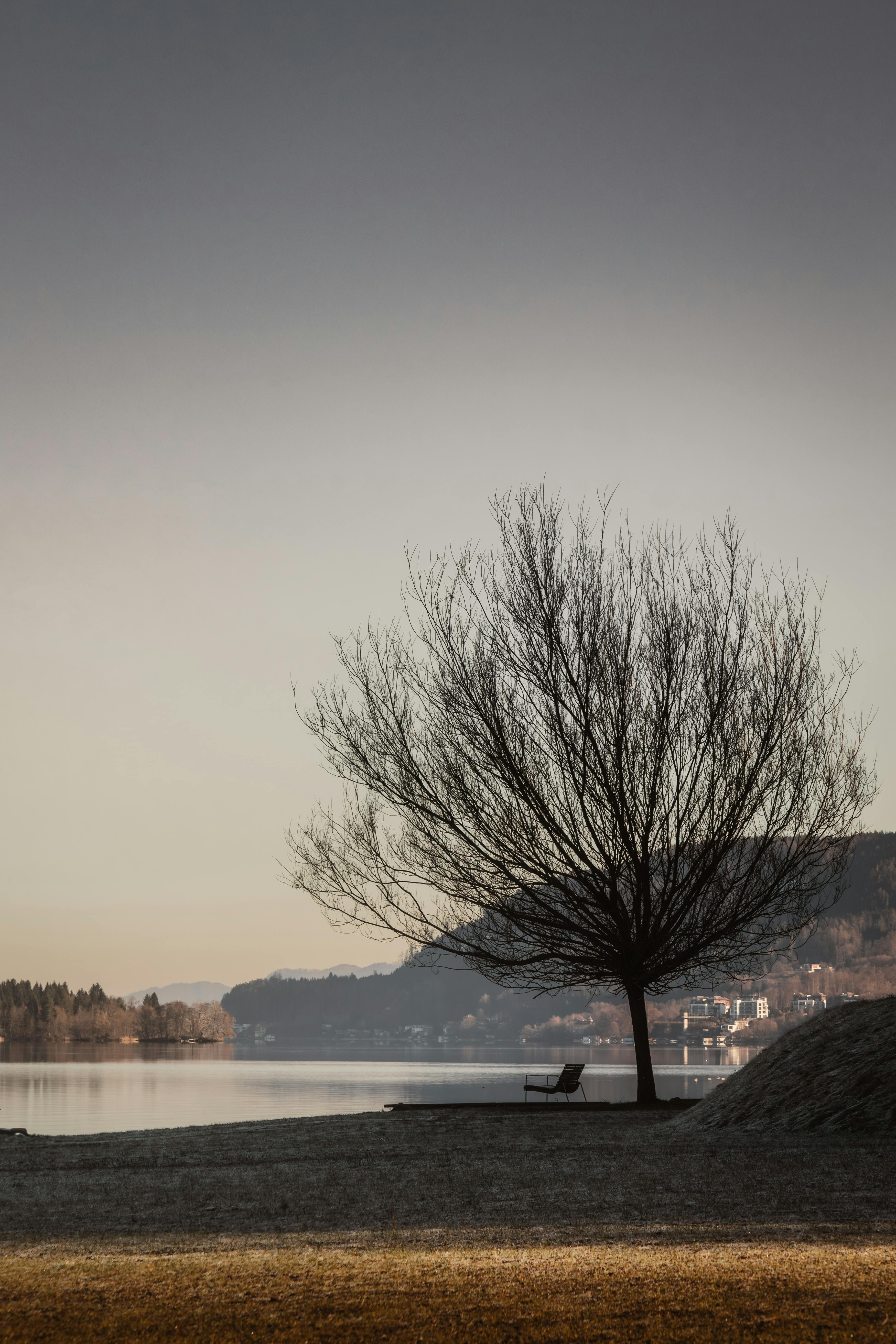 Serene Lakeside Winter Landscape at Dusk · Free Stock Photo