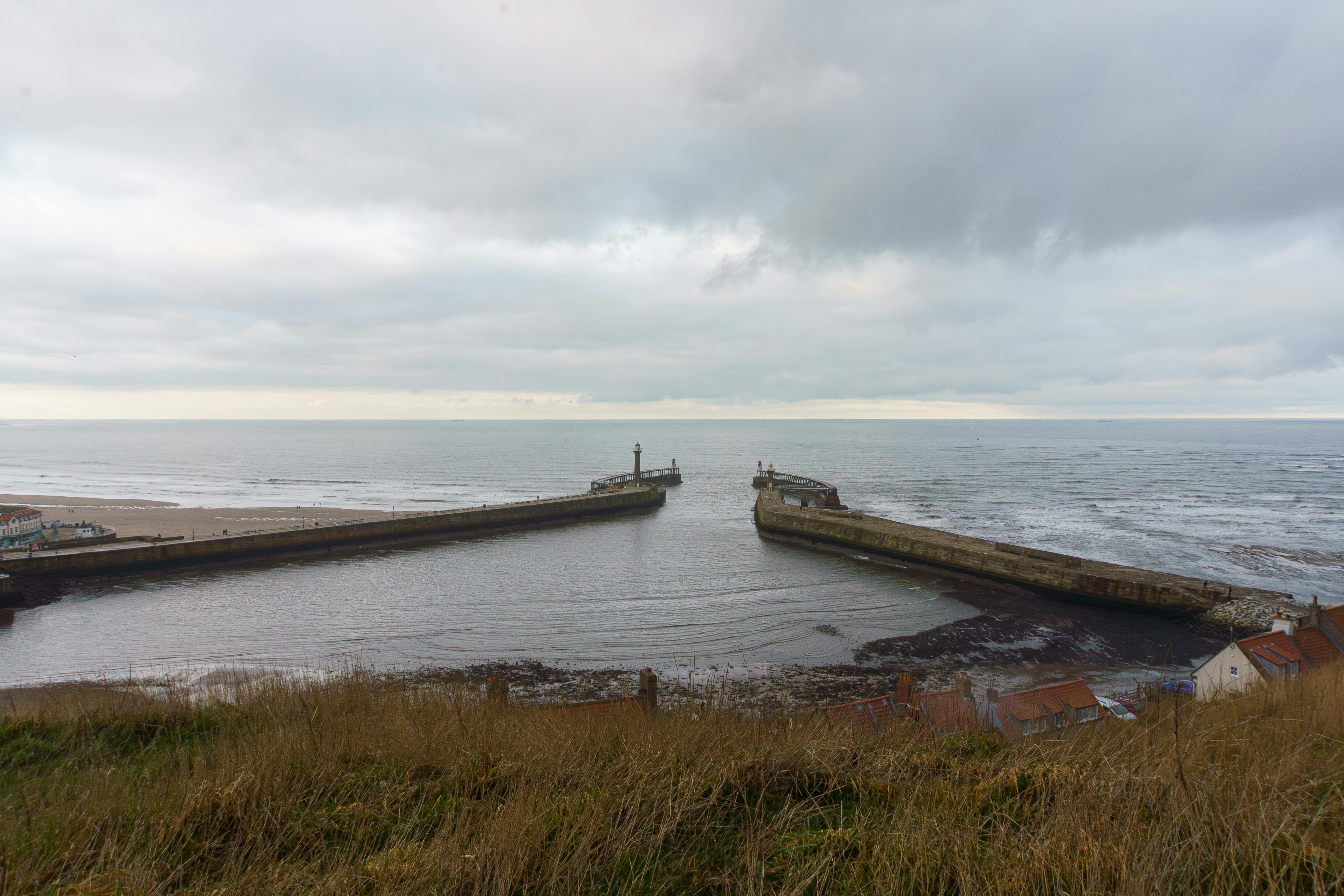 Grass Sky View Photos, Download The BEST Free Grass Sky View Stock ...