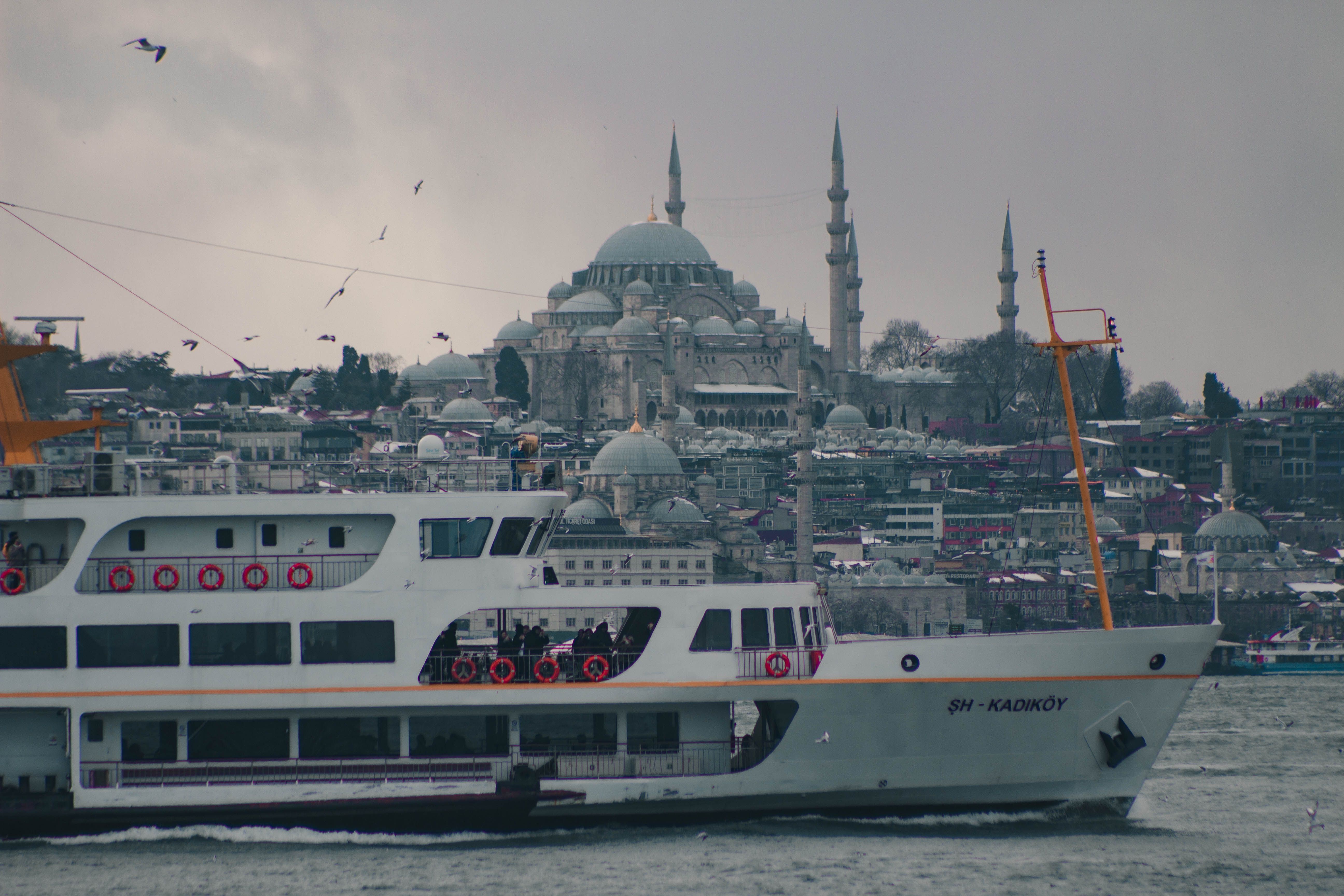 Ferry Crossing in Istanbul with Suleymaniye Mosque · Free Stock Photo