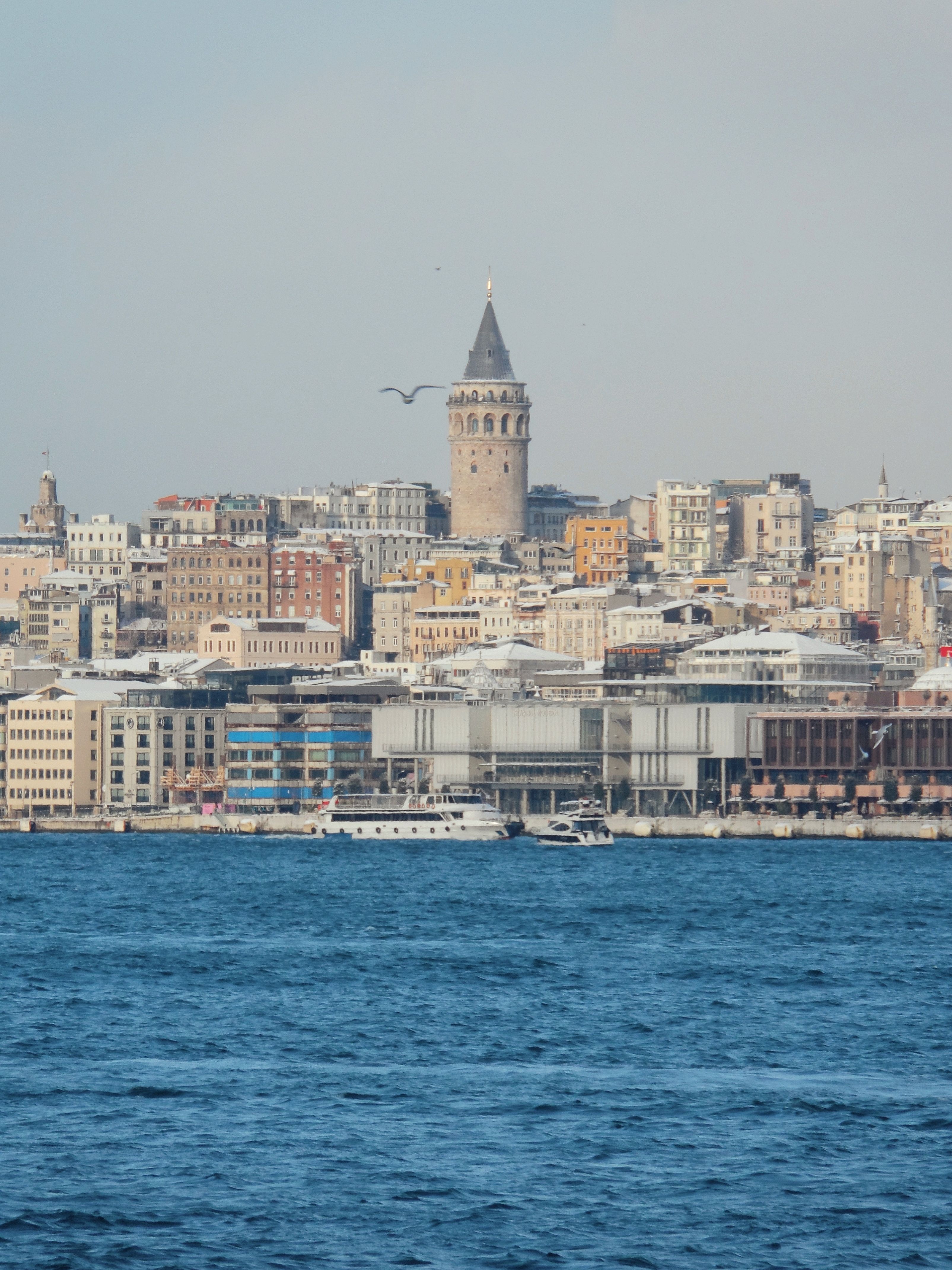 Aiffel Towers Photos, Download The BEST Free Aiffel Towers Stock Photos ...
