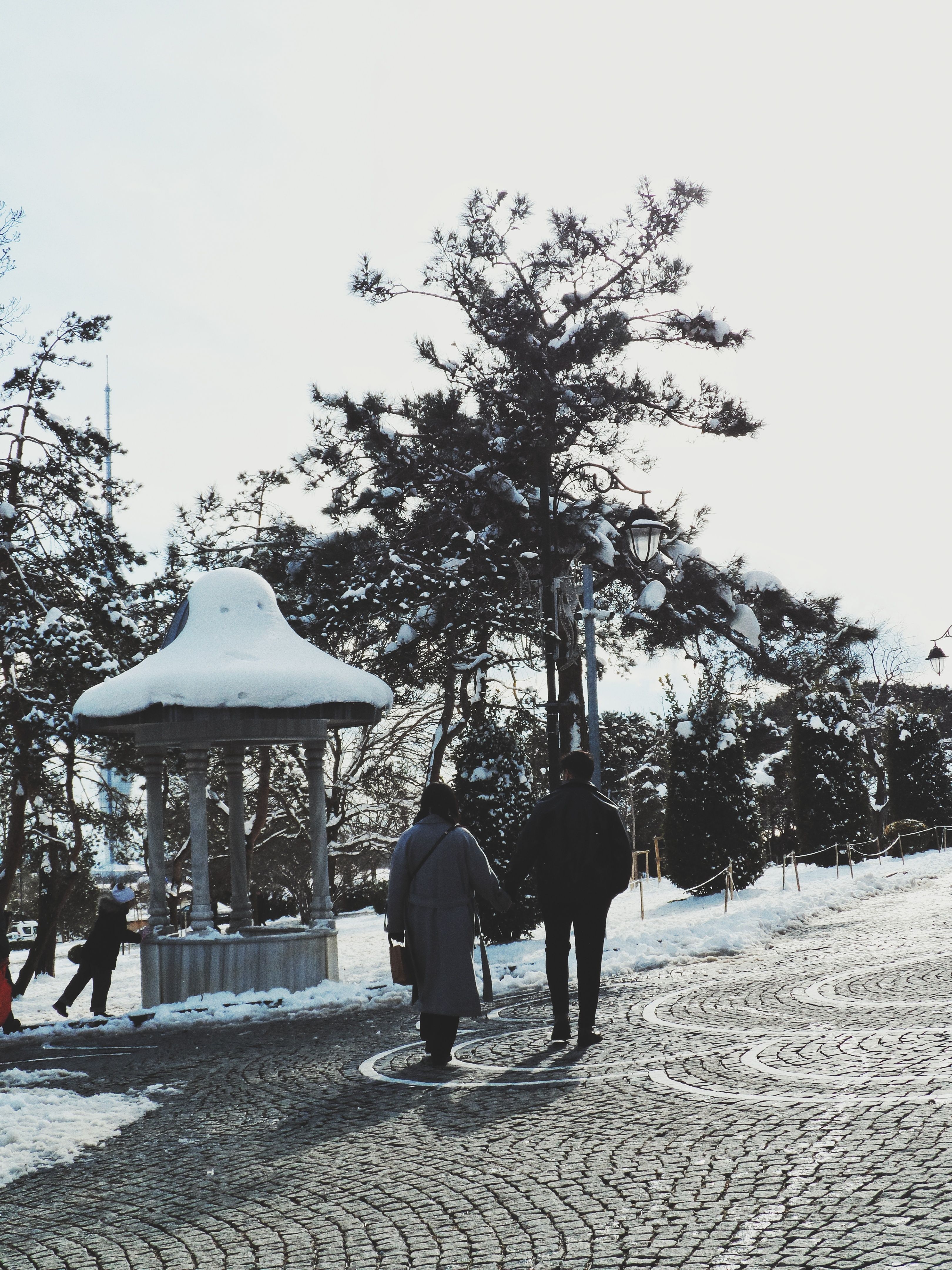 Winter Stroll in Snowy Park with Gazebo · Free Stock Photo