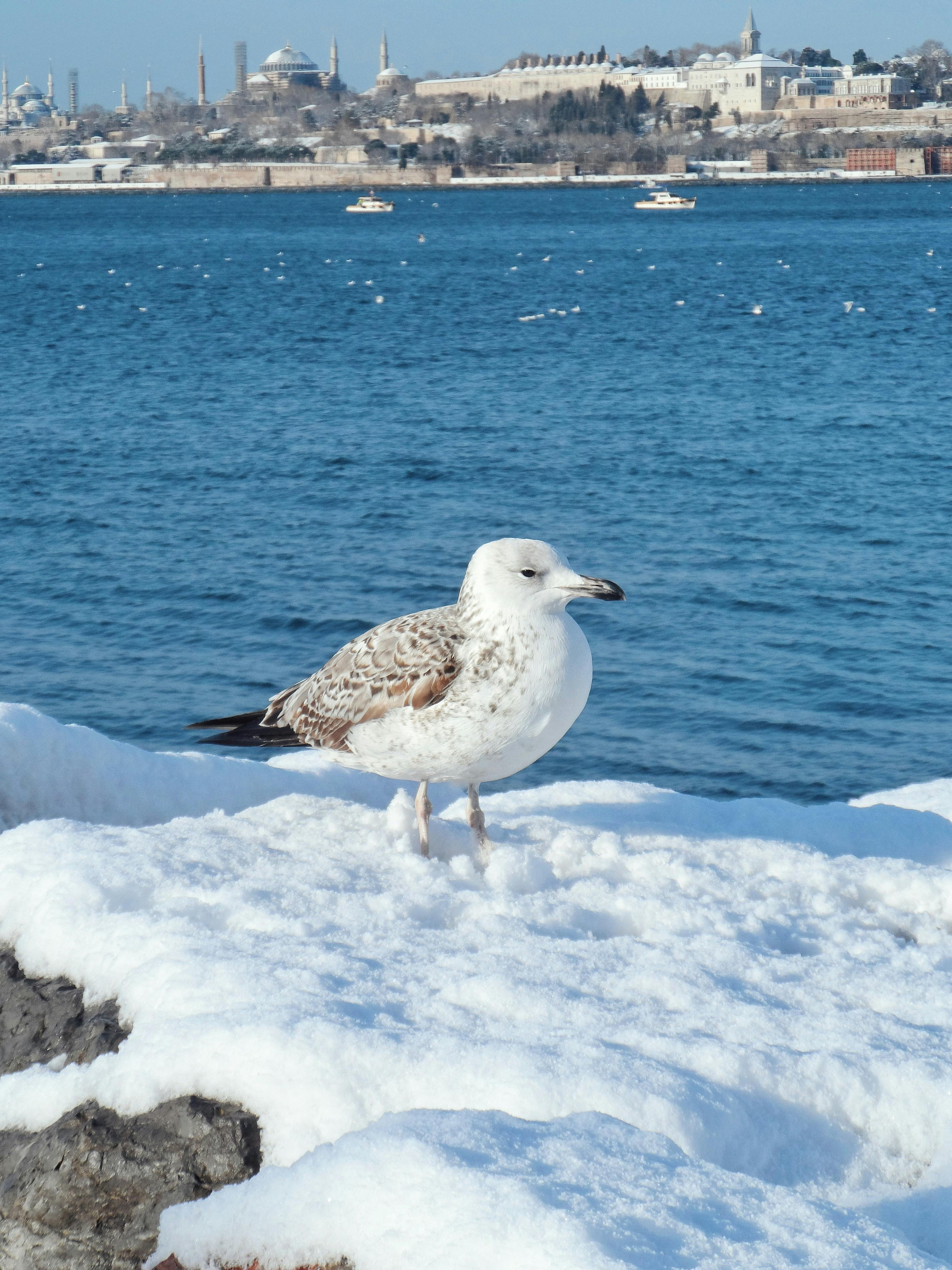 Travlego | Discover the Best Neighborhoods to Stay in Orient Point ...