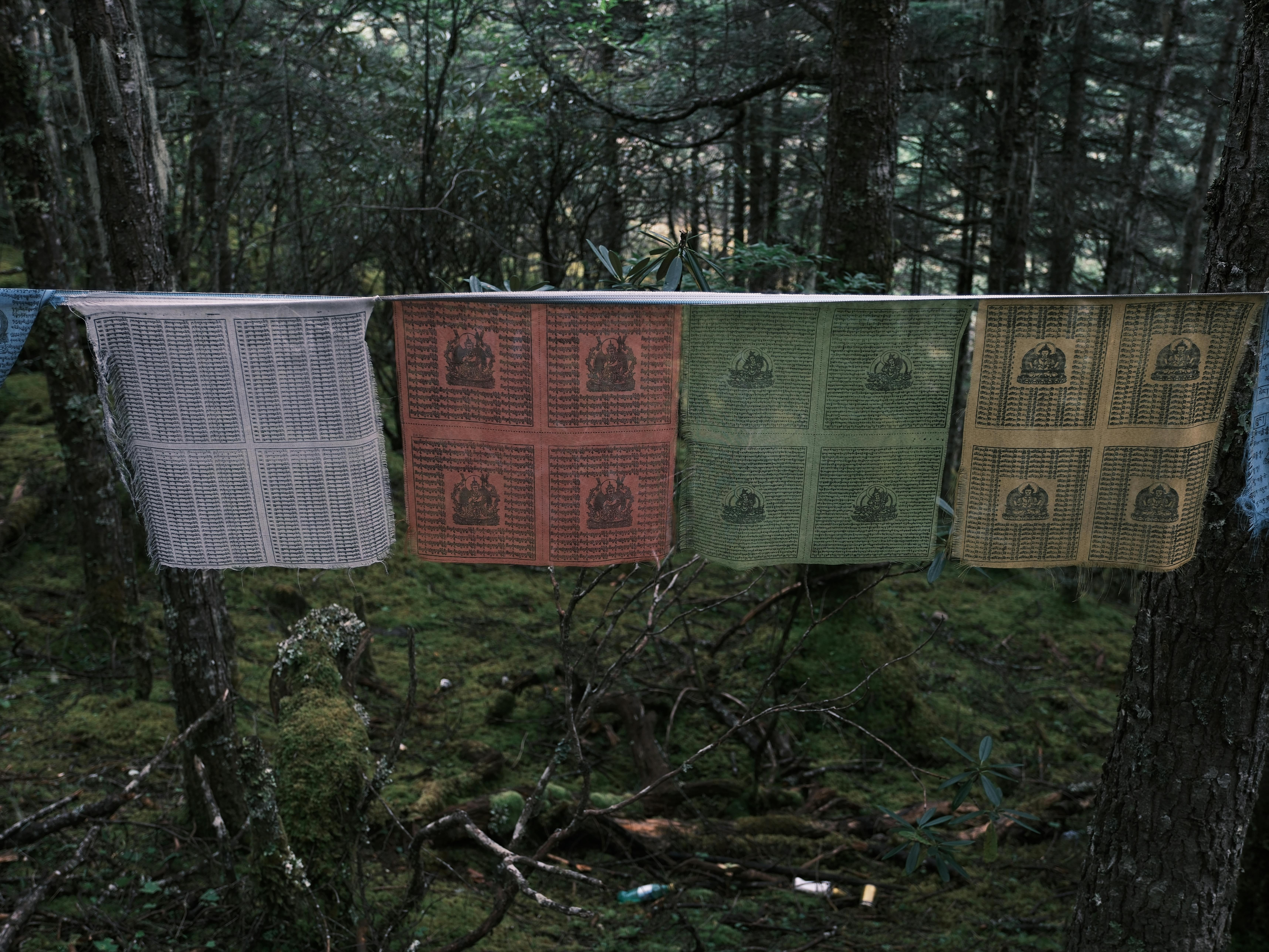 Linkedin Banner For Onboarding Photos, Download The BEST Free Linkedin ...