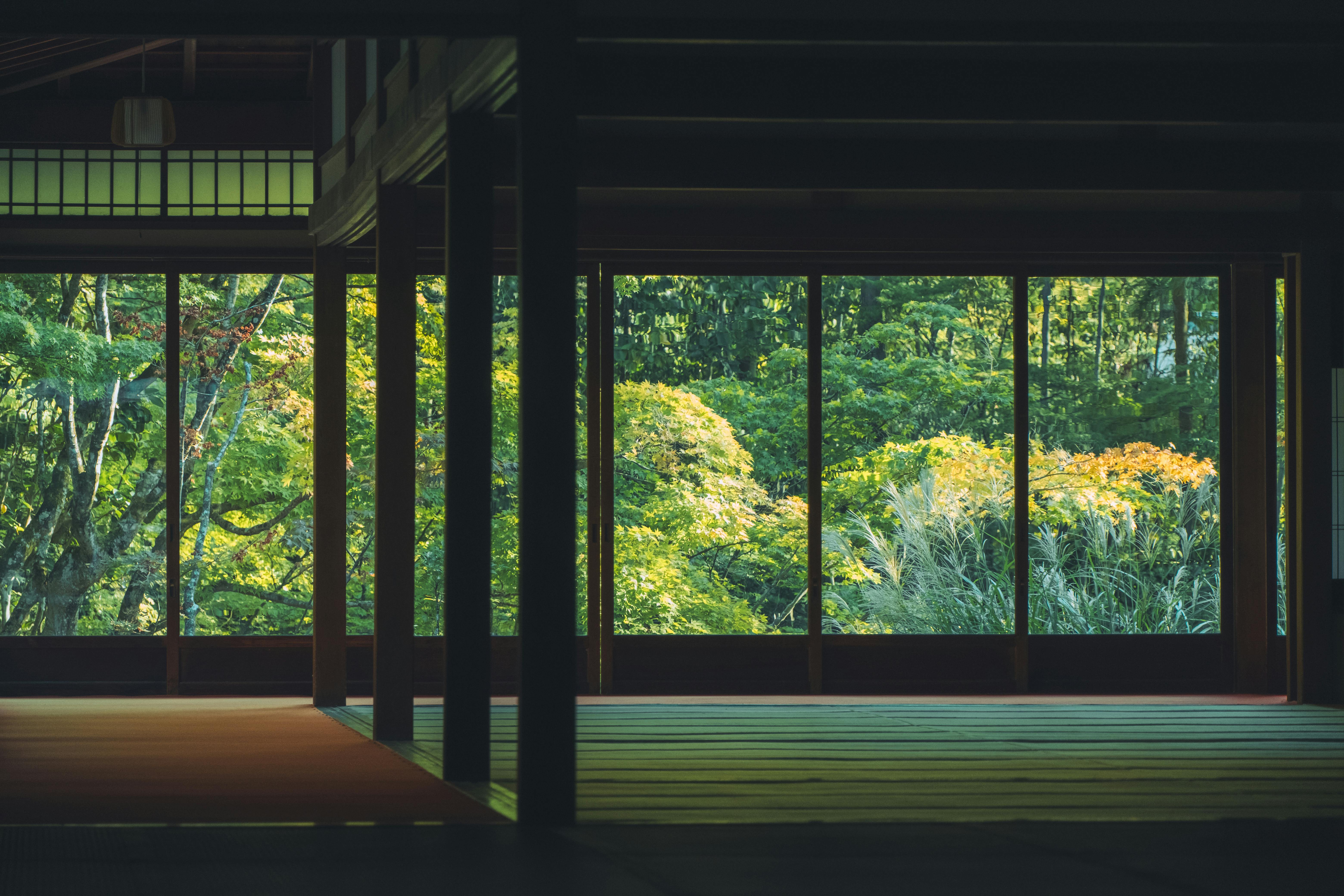 Serene View of Lush Greenery Through Large Windows · Free Stock Photo