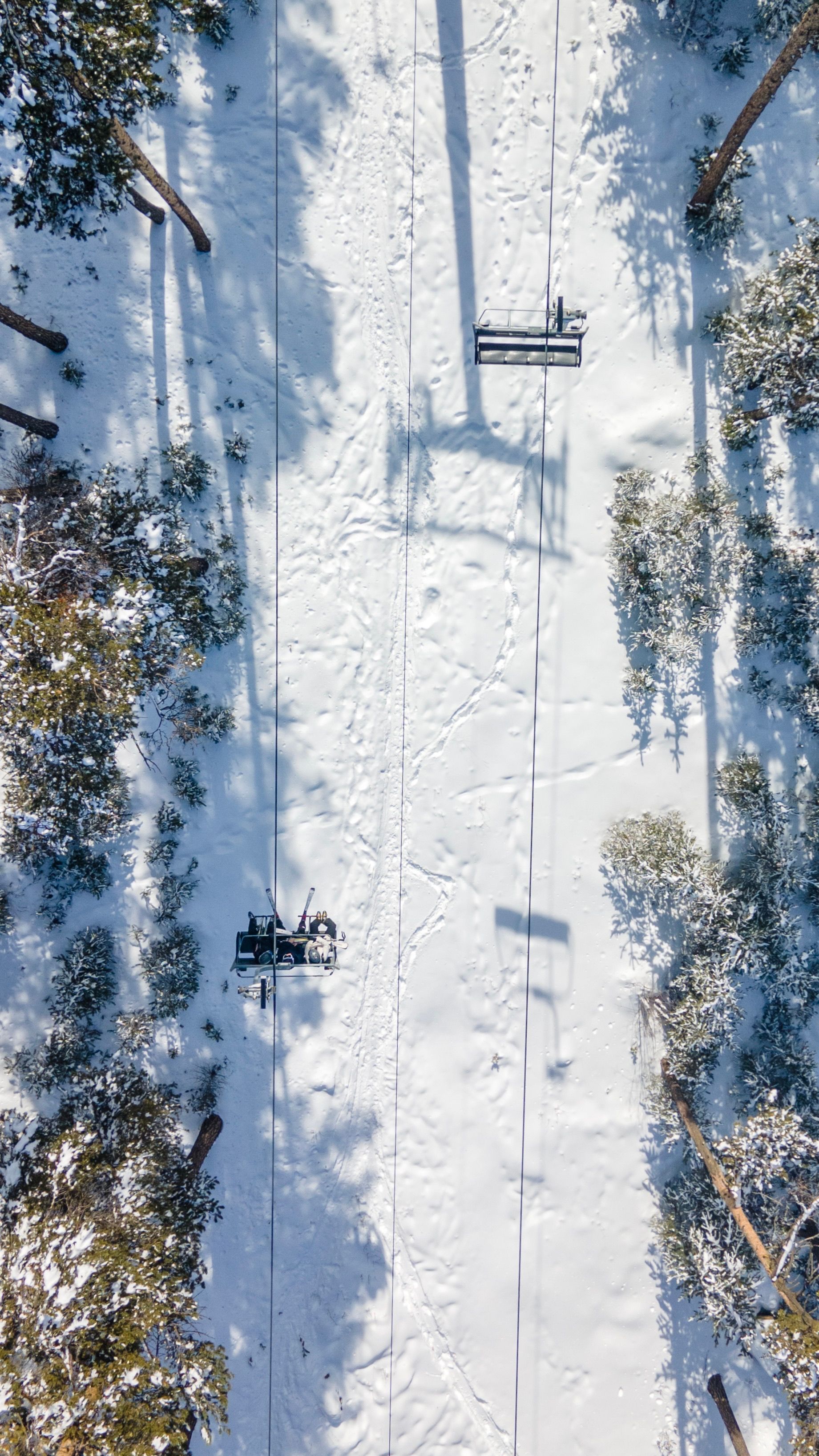 Aerial Photo of Brown Swings With Slides Near Trees · Free Stock Photo