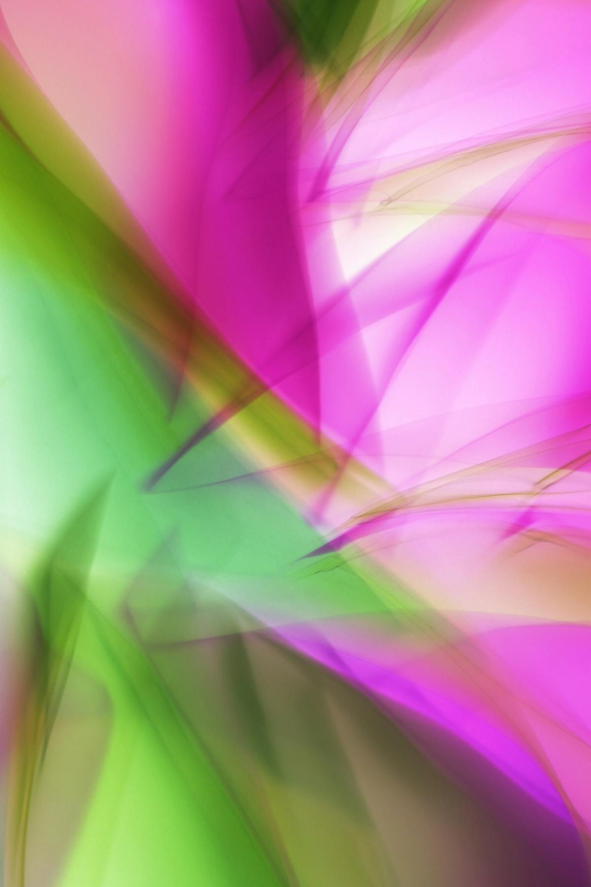 Color: Green Photos, Download The BEST Free Color: Green Stock Photos ...