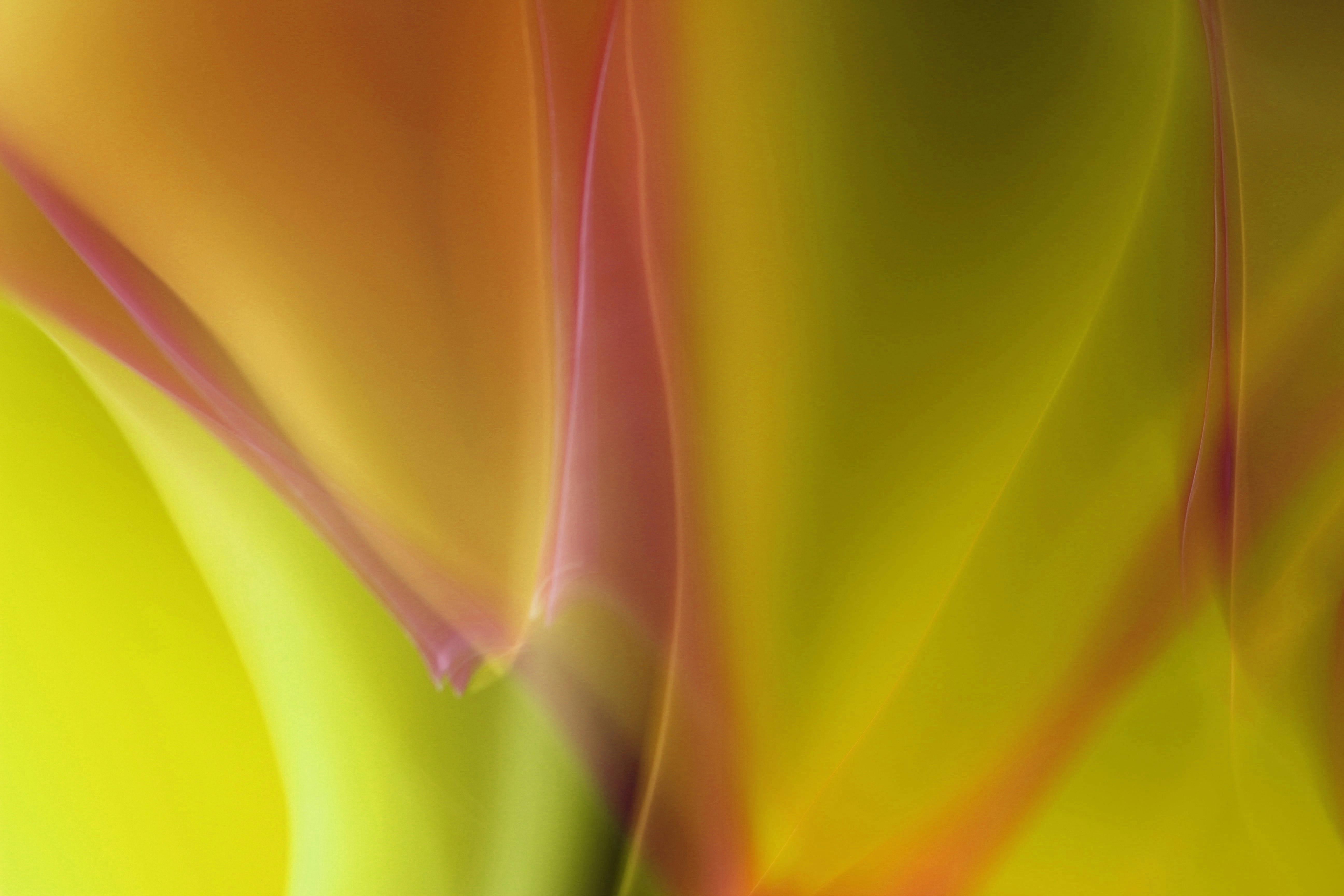 Abstract Colorful Light Patterns in Guaratuba · Free Stock Photo