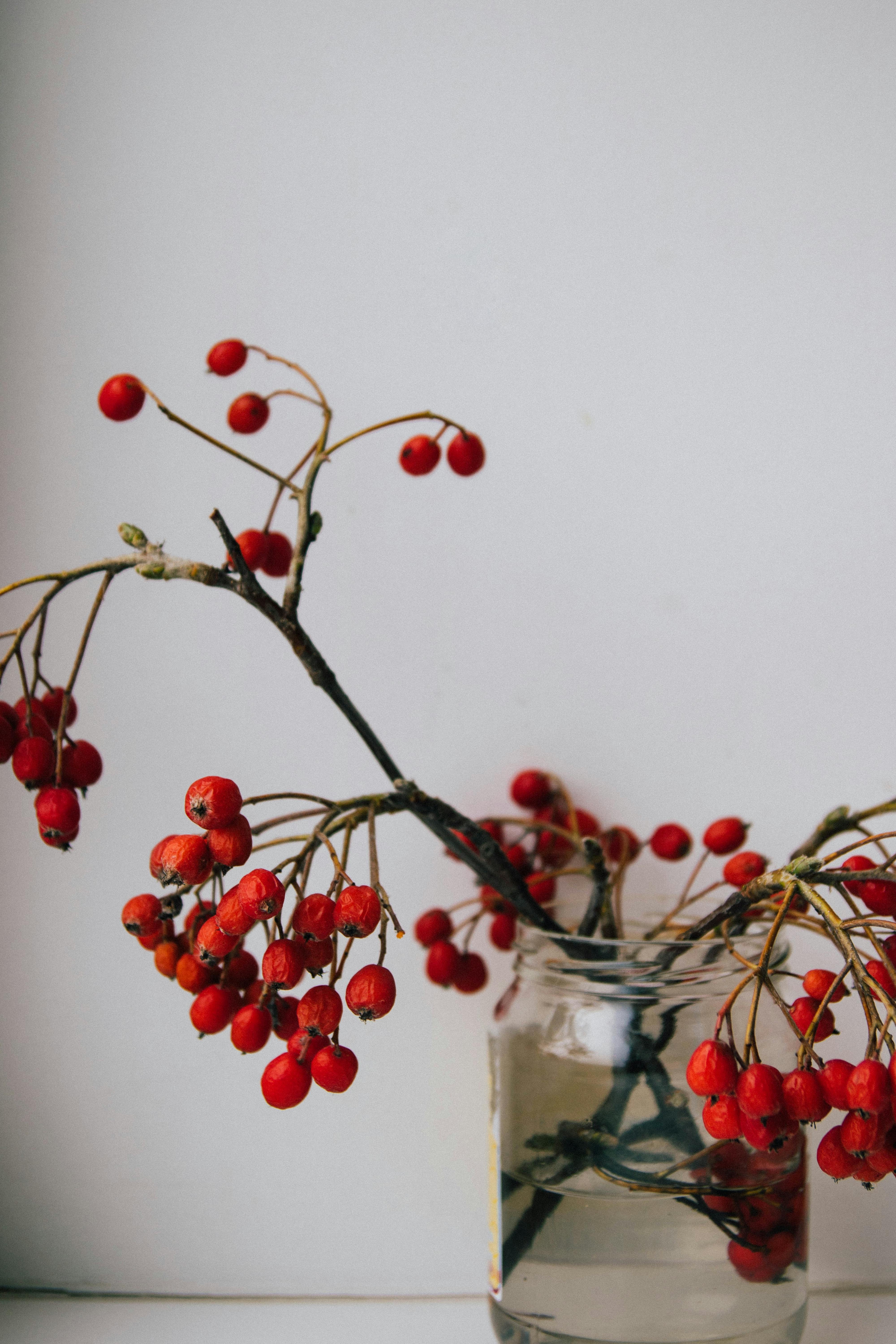 Indoor Decor Of Red Berries on Jar · Free Stock Photo