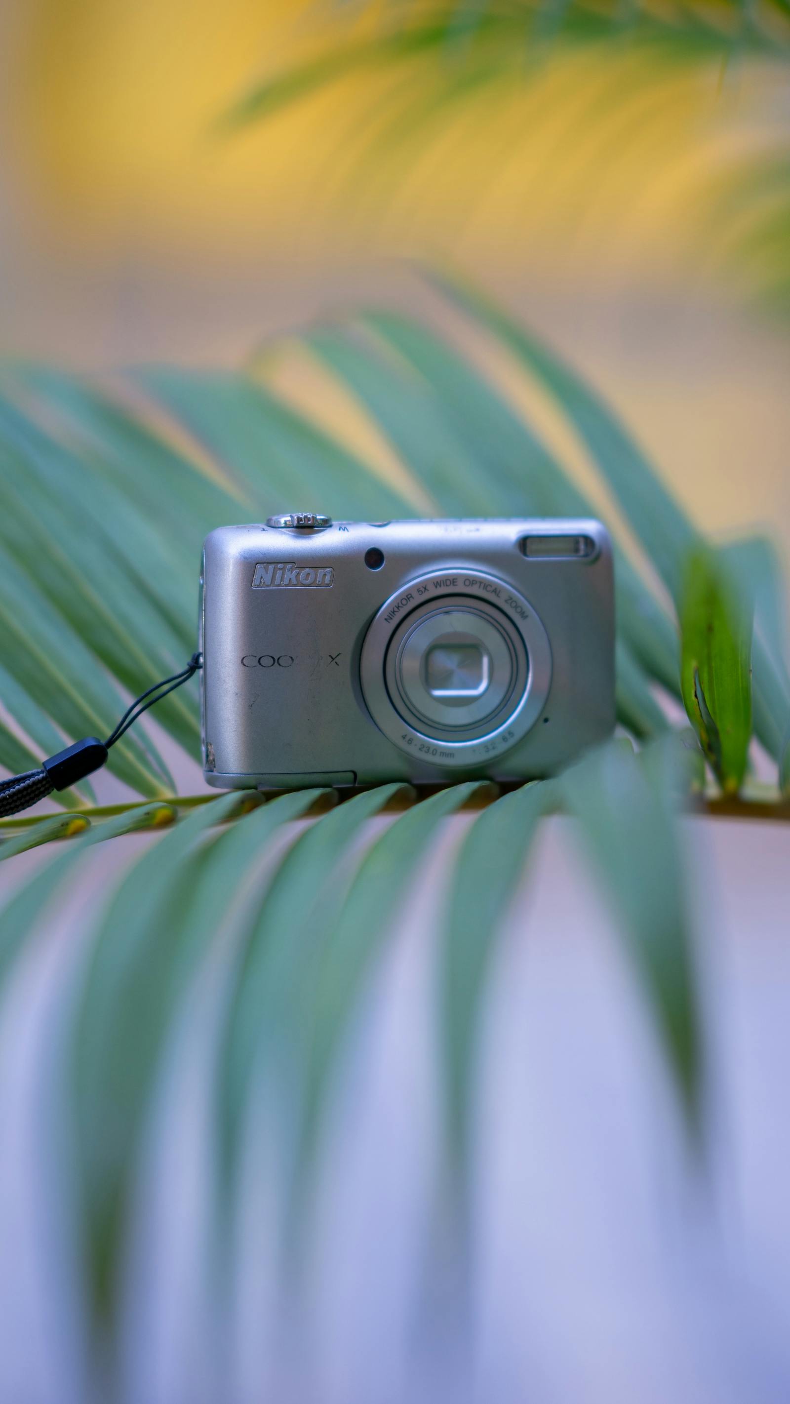 Digital Camera Photos, Download The BEST Free Digital Camera Stock ...