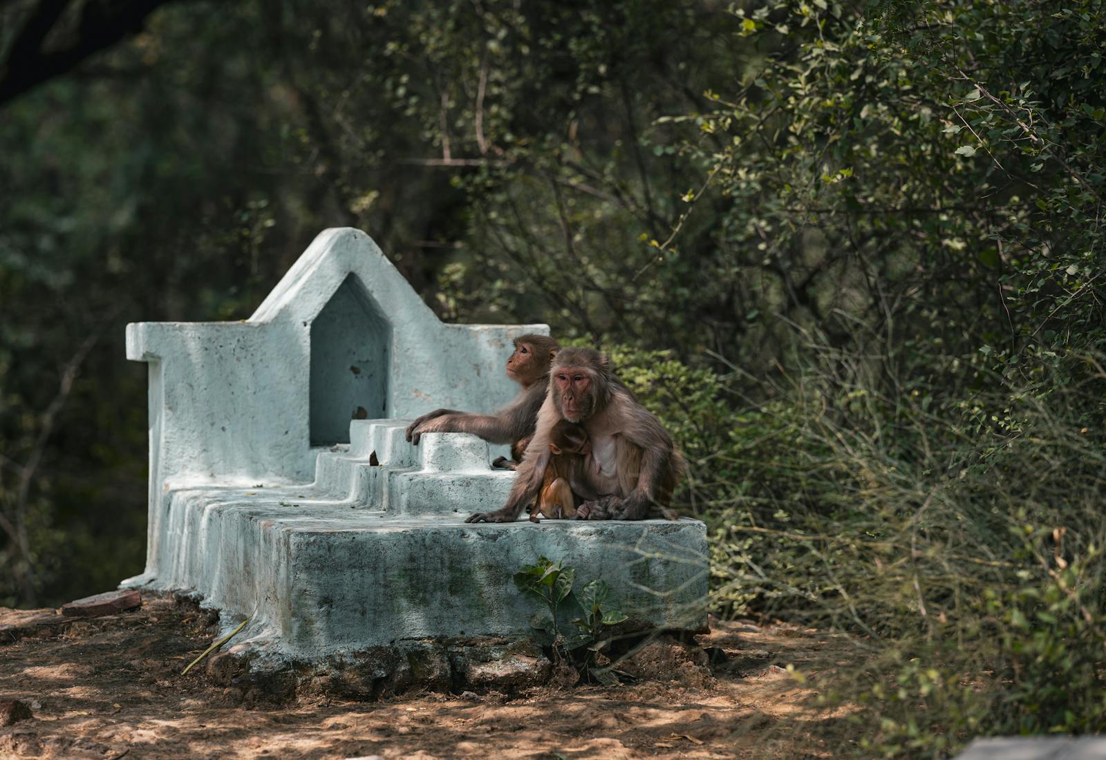 Free Download 1 Mb Jpg Images Photos, Download The BEST Free Free ...