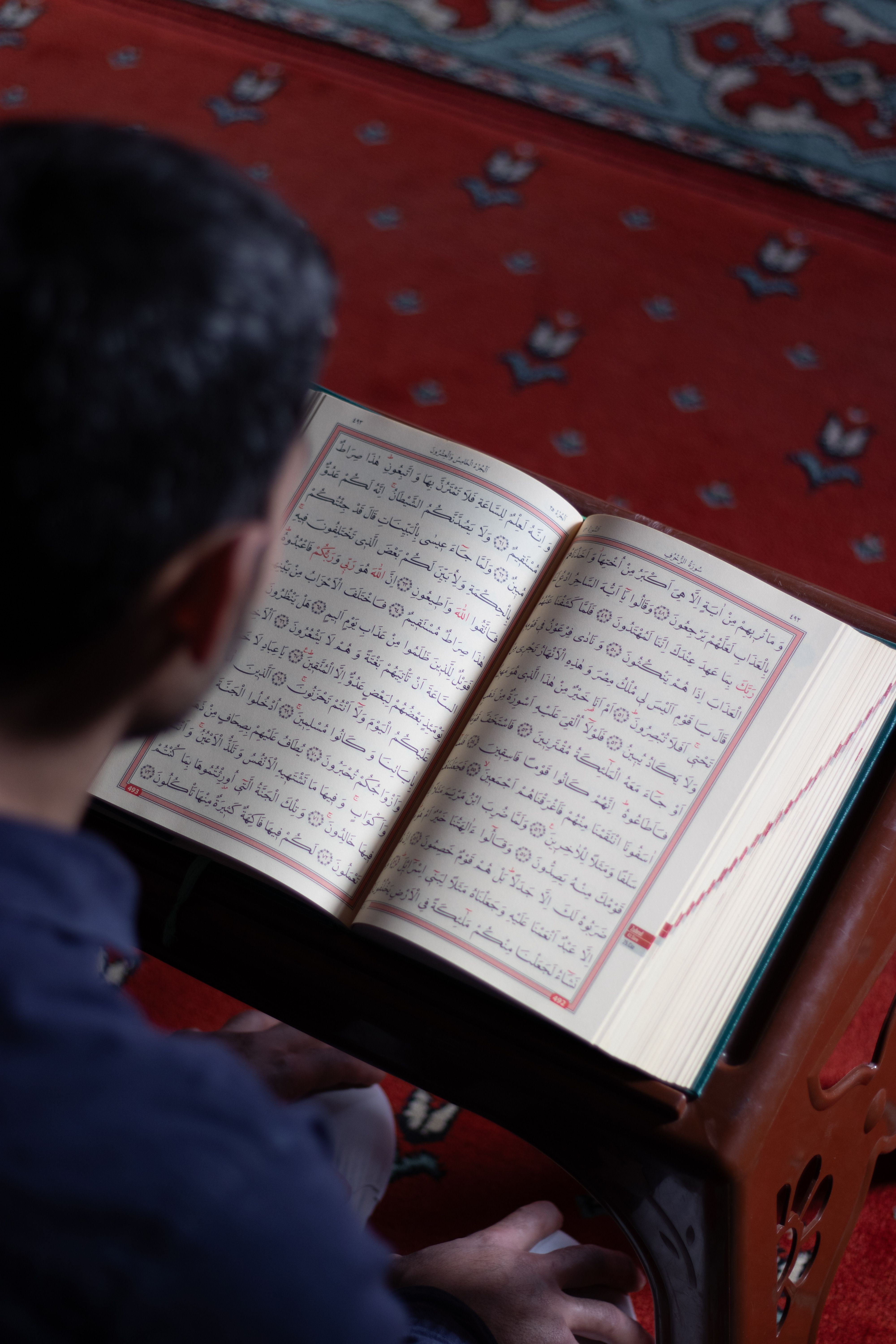 Contemplative Quran Reading in Mosque Interior · Free Stock Photo