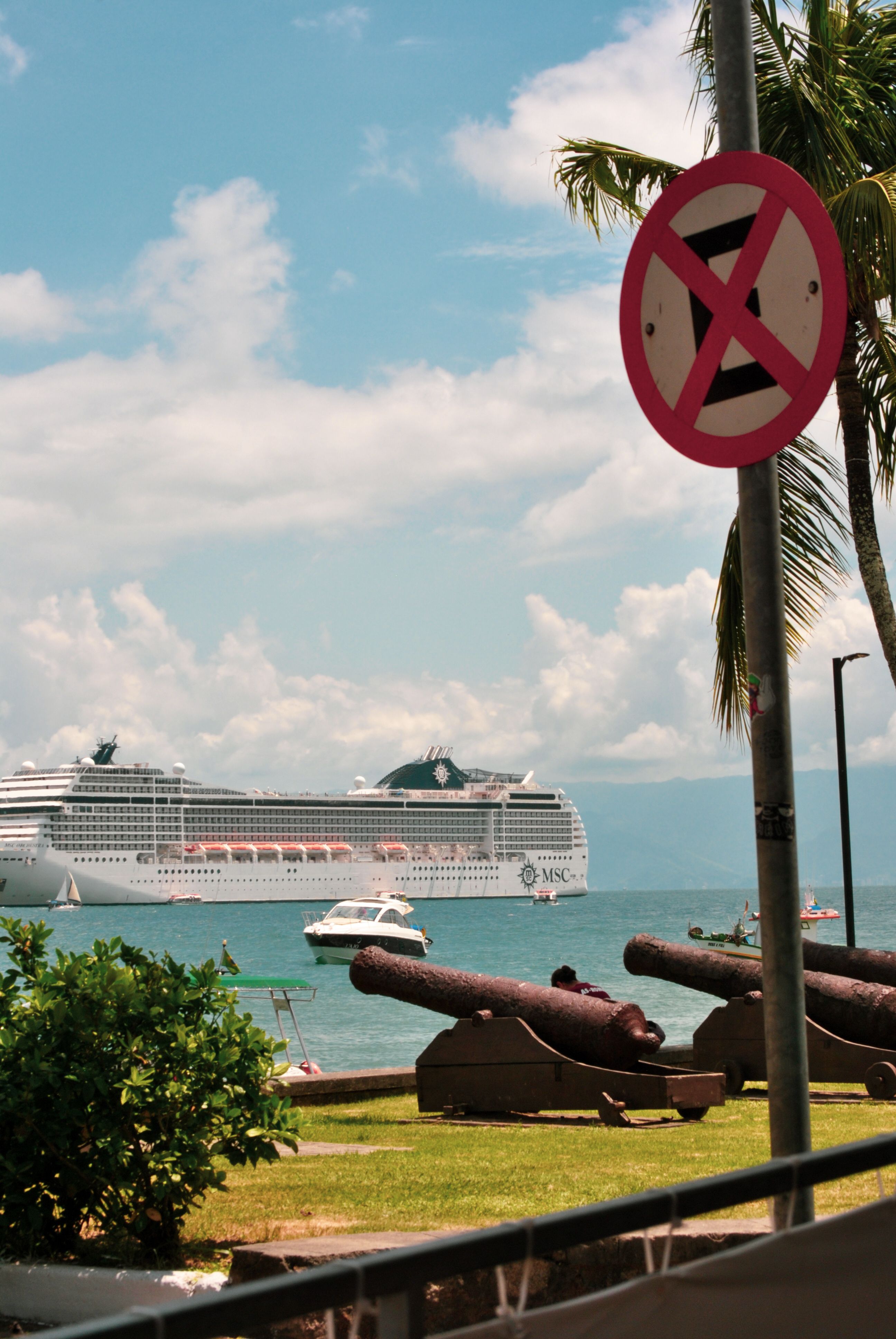 Cruise Ship in Tropical Harbor · Free Stock Photo