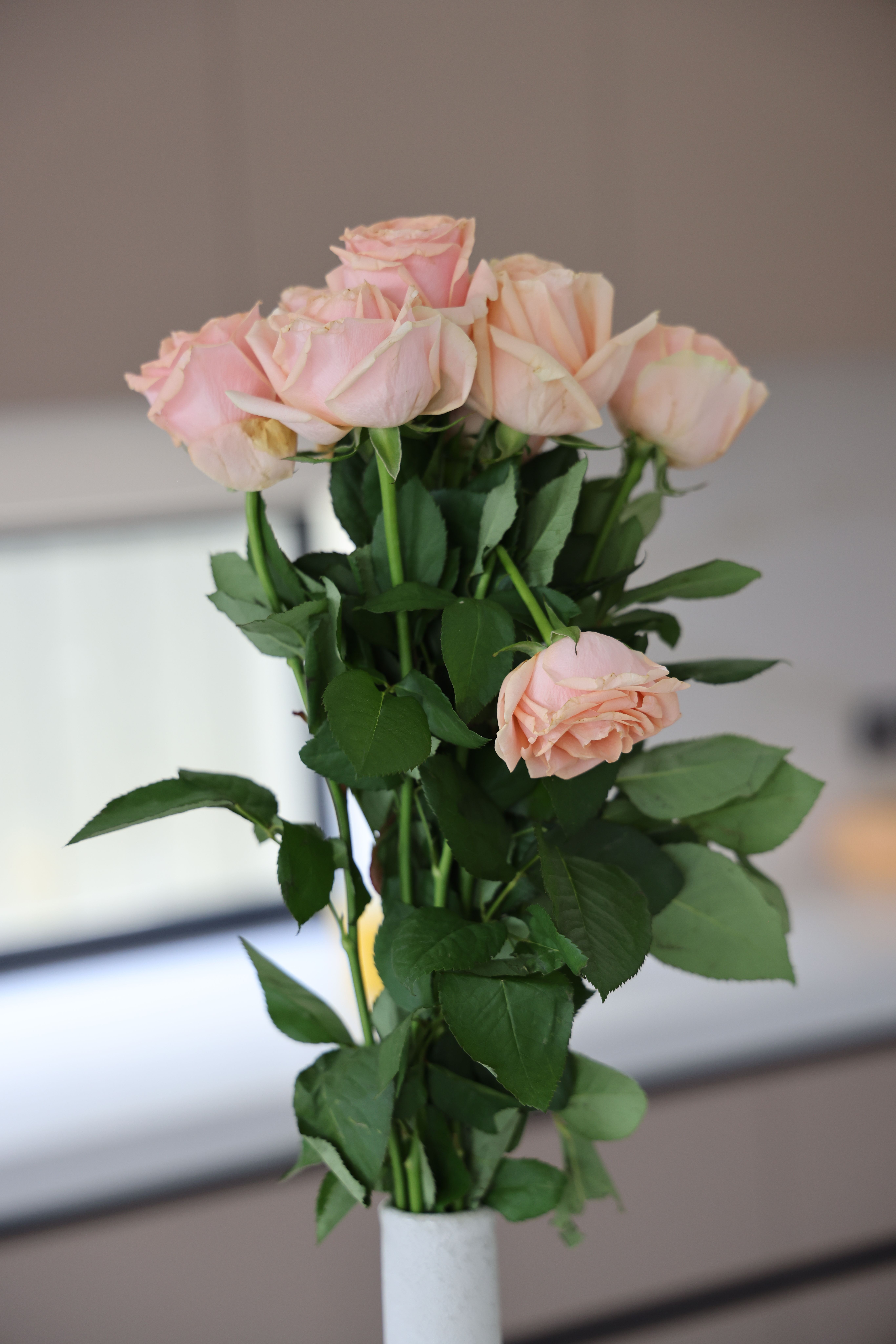 Elegant Bouquet of Soft Pink Roses Indoors · Free Stock Photo