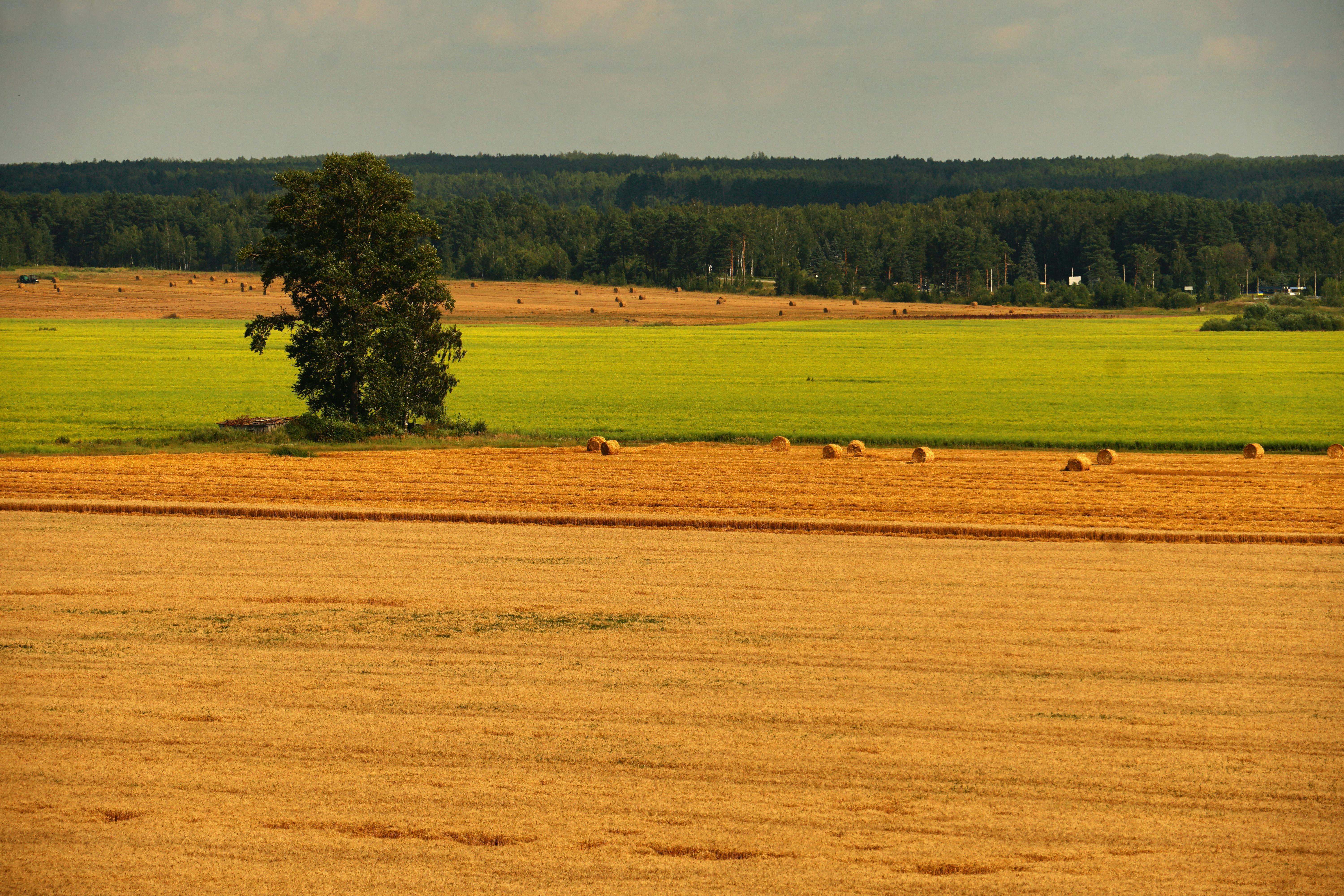 Pic Of Sky With Land Photos, Download The BEST Free Pic Of Sky With ...