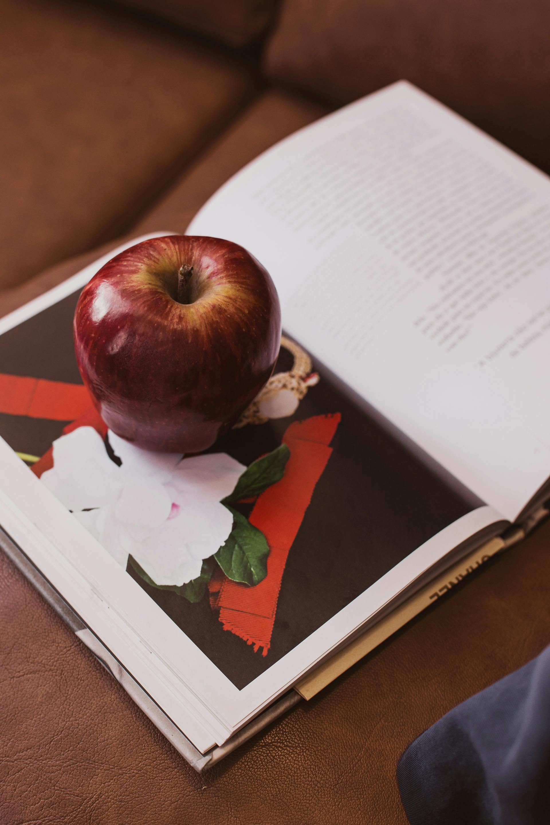 Text Reval Photos, Download The BEST Free Text Reval Stock Photos & HD ...