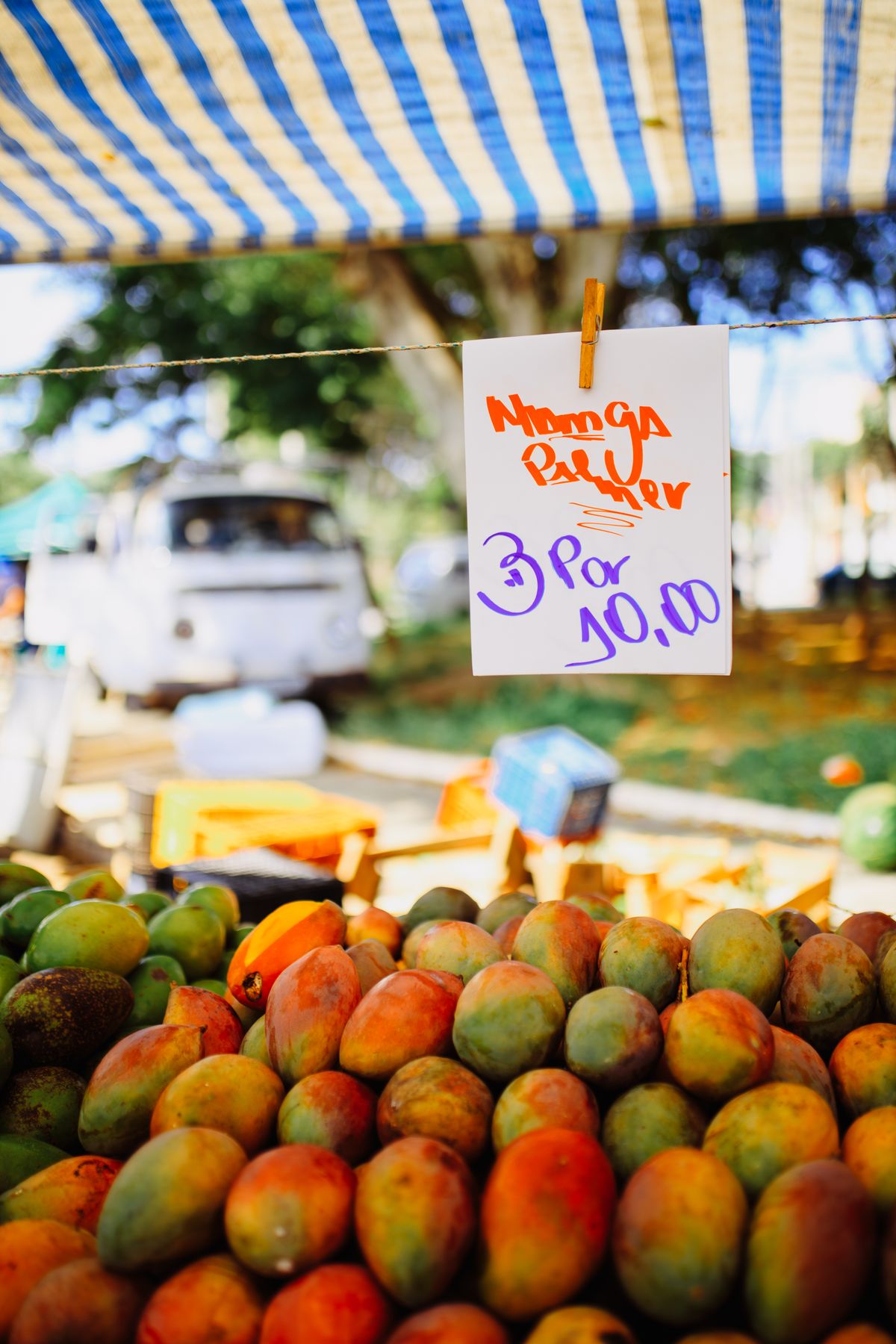 Mango Fruit Photos, Download The BEST Free Mango Fruit Stock Photos ...