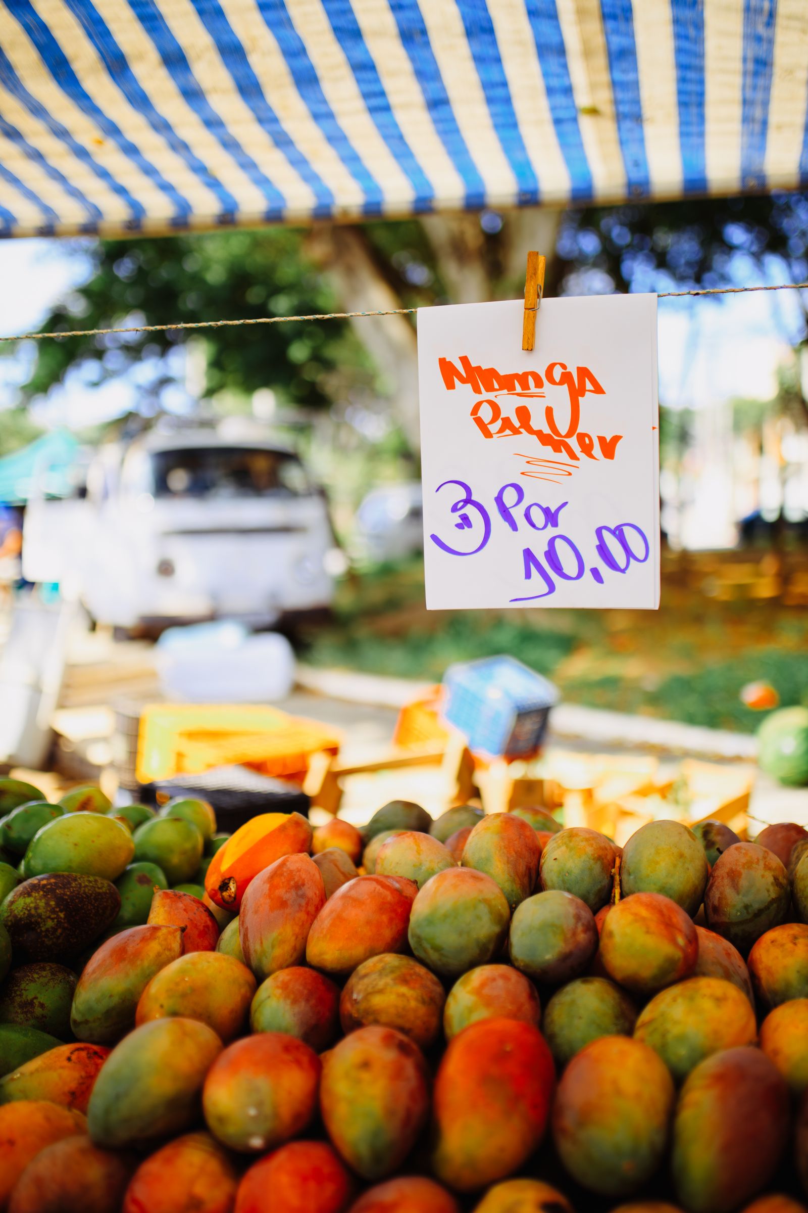 Mangos Photos, Download The BEST Free Mangos Stock Photos & HD Images