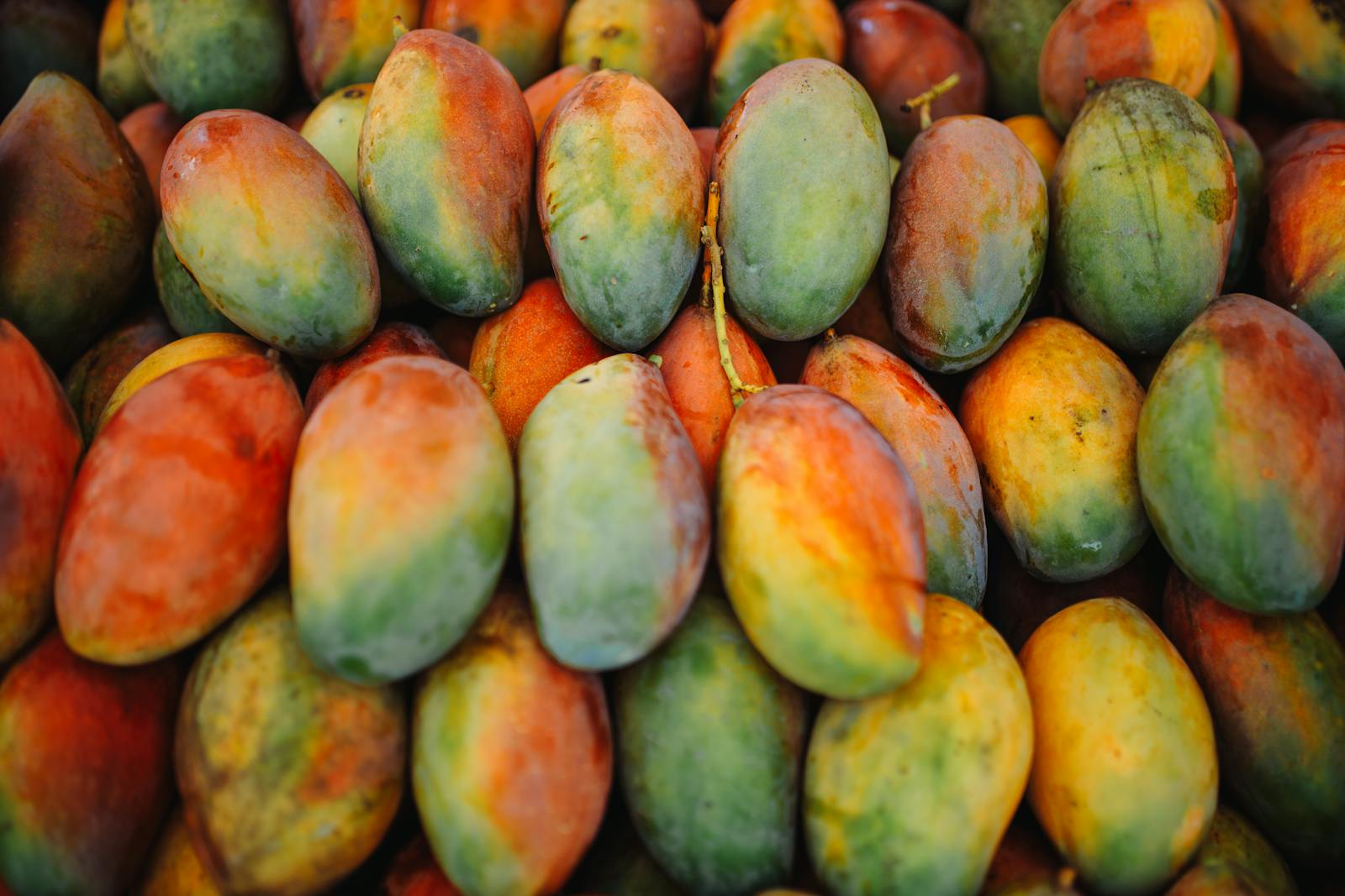 Mangoes Photos, Download The BEST Free Mangoes Stock Photos & HD Images