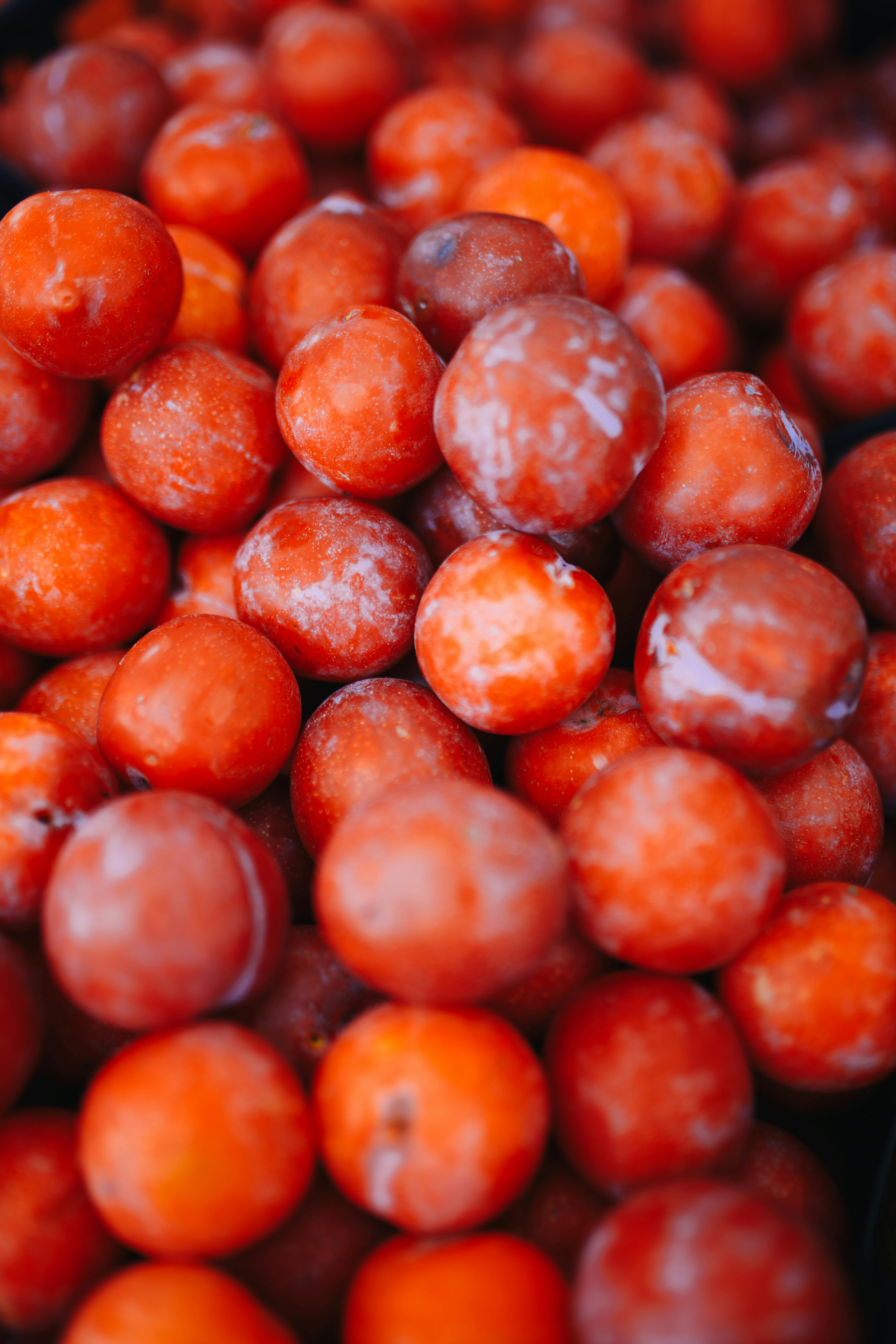 Close-up of Fresh Red Plums Displayed Outdoors · Free Stock Photo