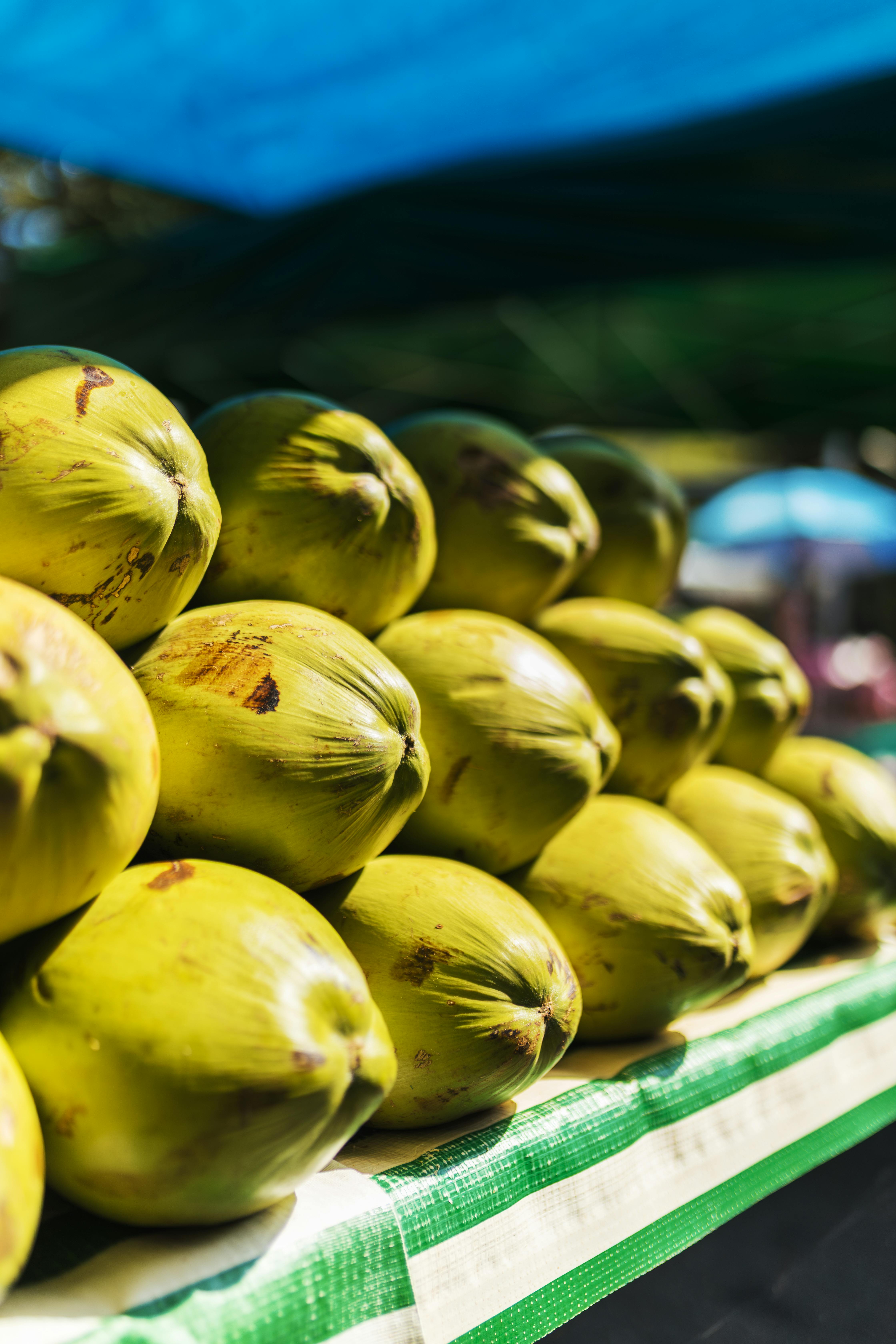 Fresh Green Coconuts at Outdoor Market · Free Stock Photo