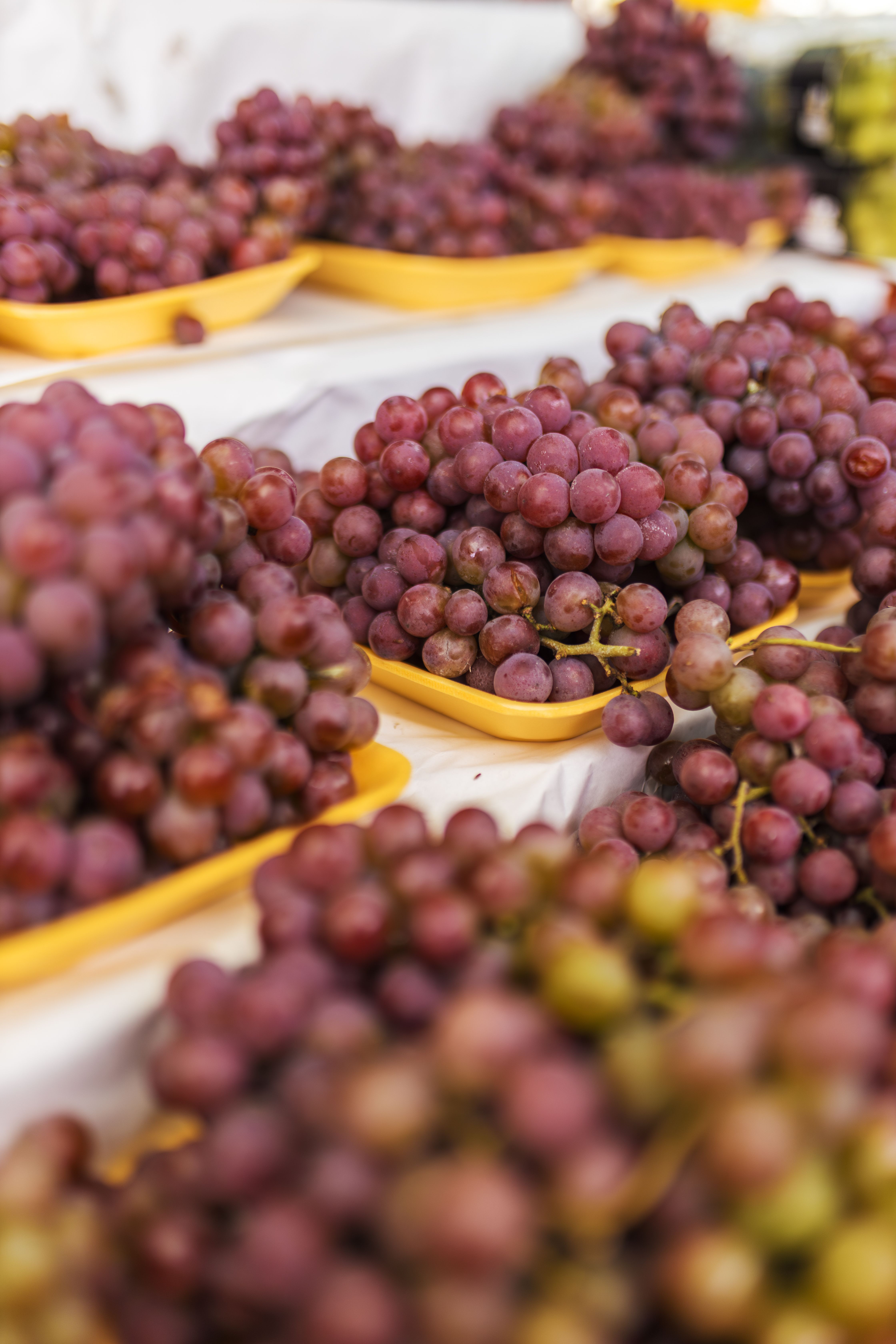 Fresh Bunches of Red Grapes on Display · Free Stock Photo