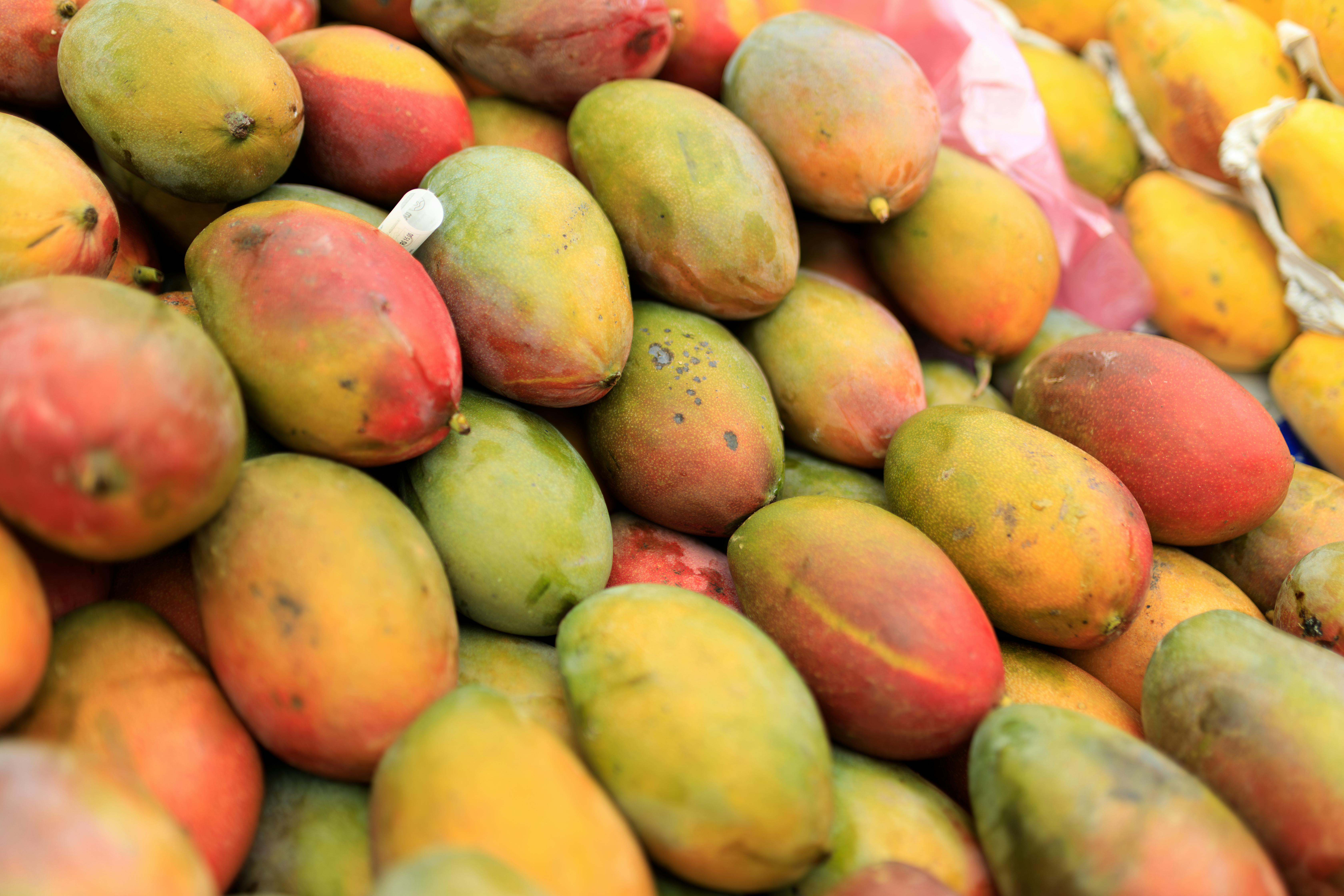 Fresh Mangos Piled at a Local Market · Free Stock Photo