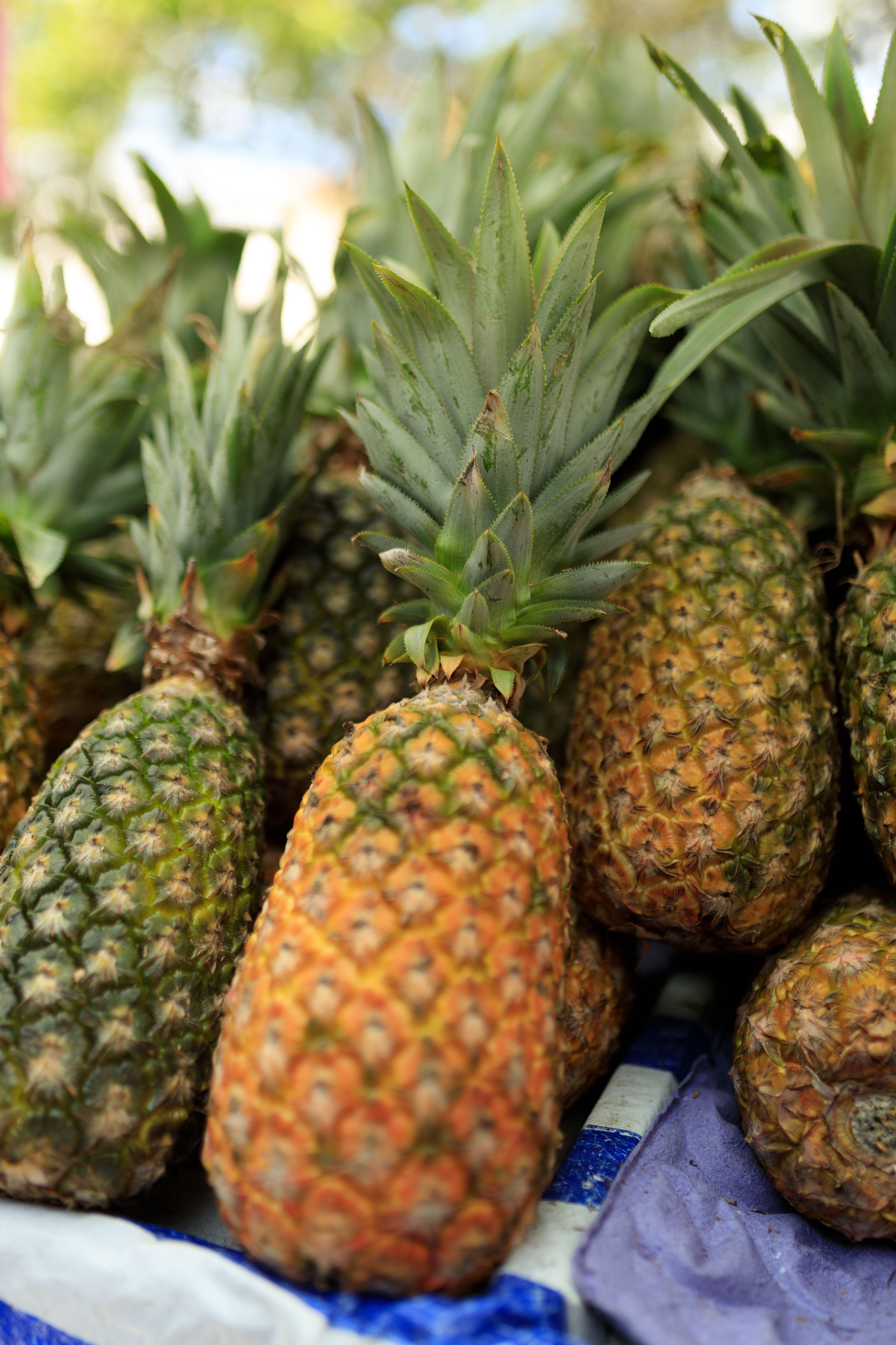 Fresh Ripe Pineapples in Market Display · Free Stock Photo