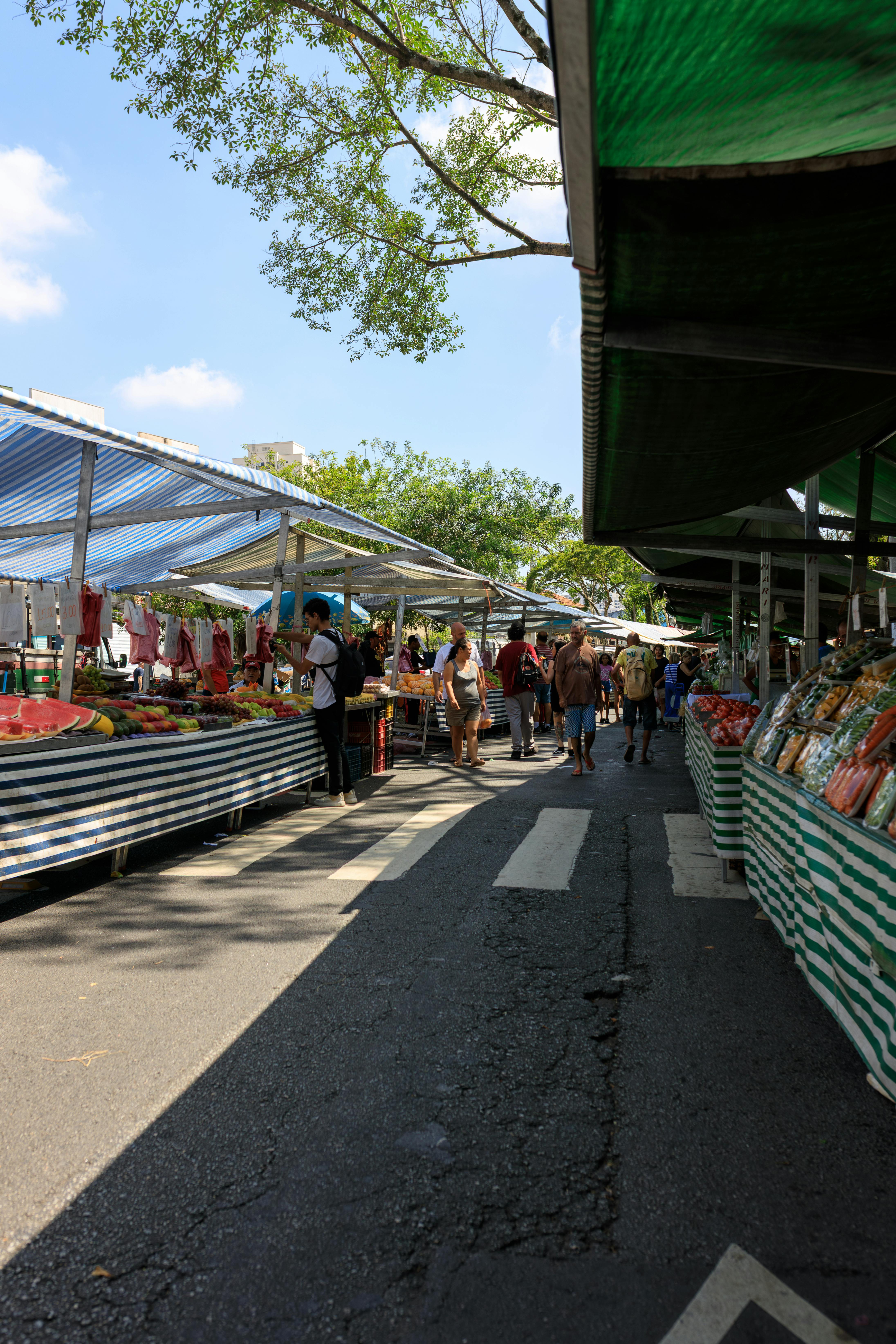 Green Tarps Photos, Download The BEST Free Green Tarps Stock Photos ...