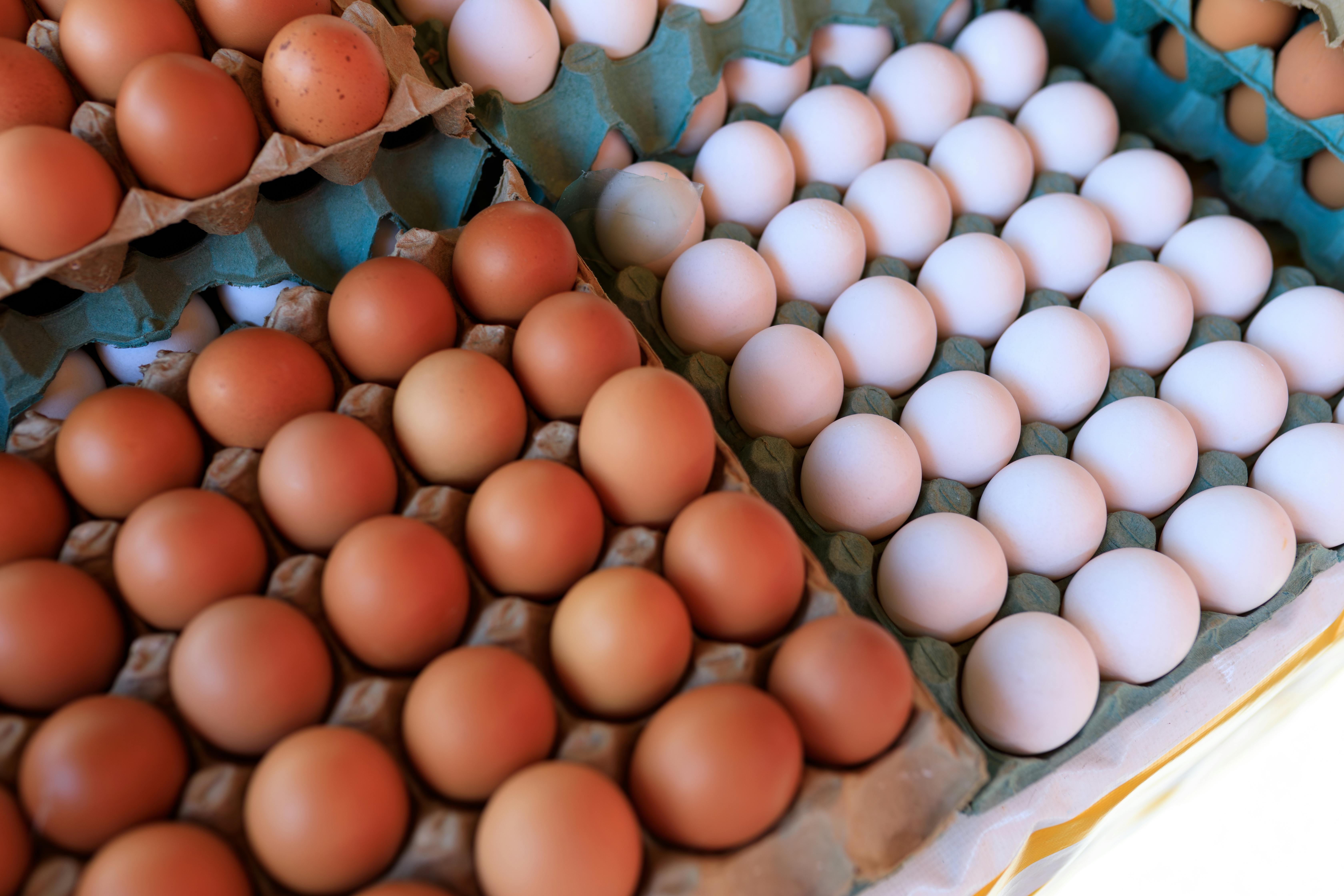 Assortiment D'œufs Bruns Et Blancs En Carton · Photo gratuite