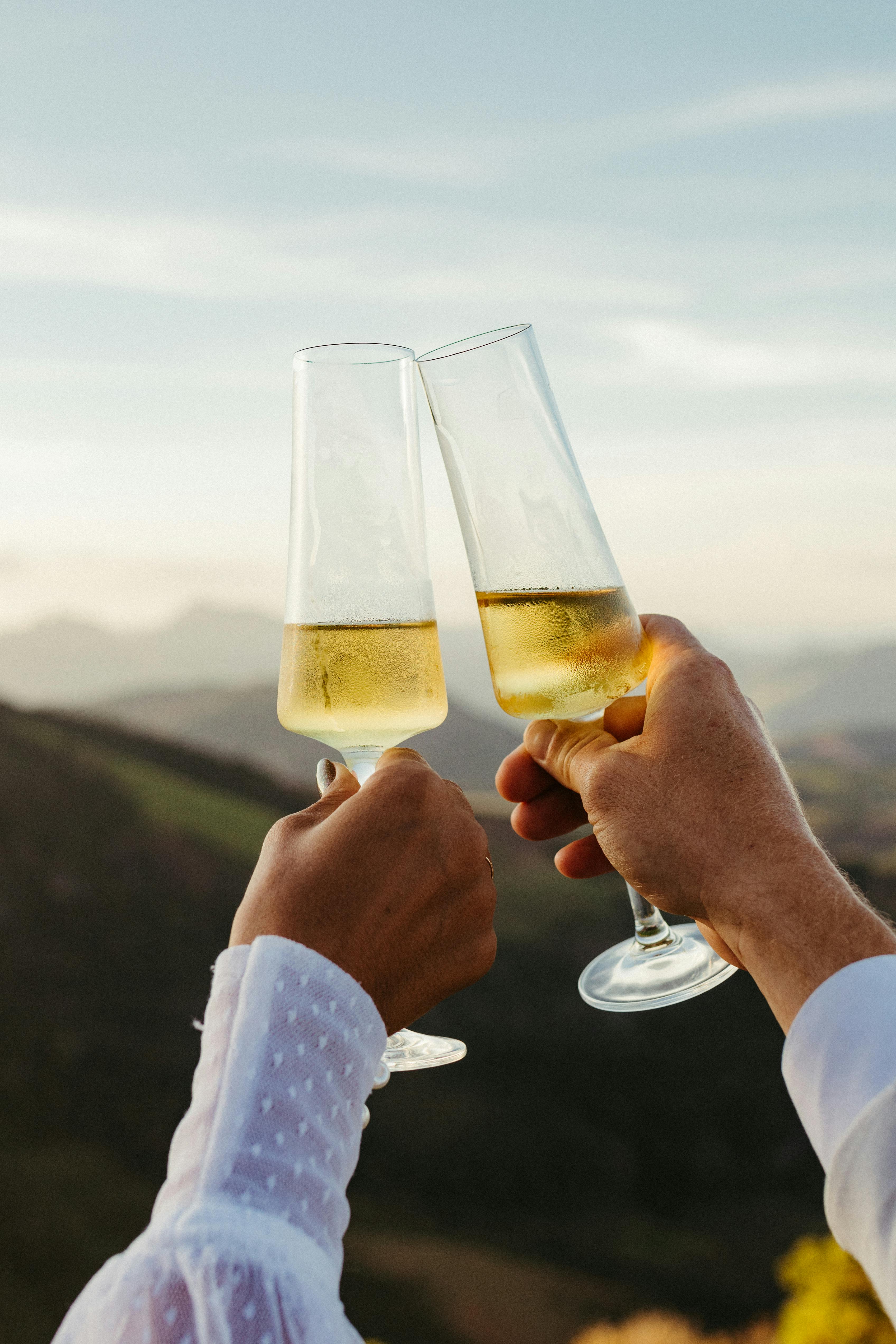Celebrating with Champagne Toast at Sunset · Free Stock Photo