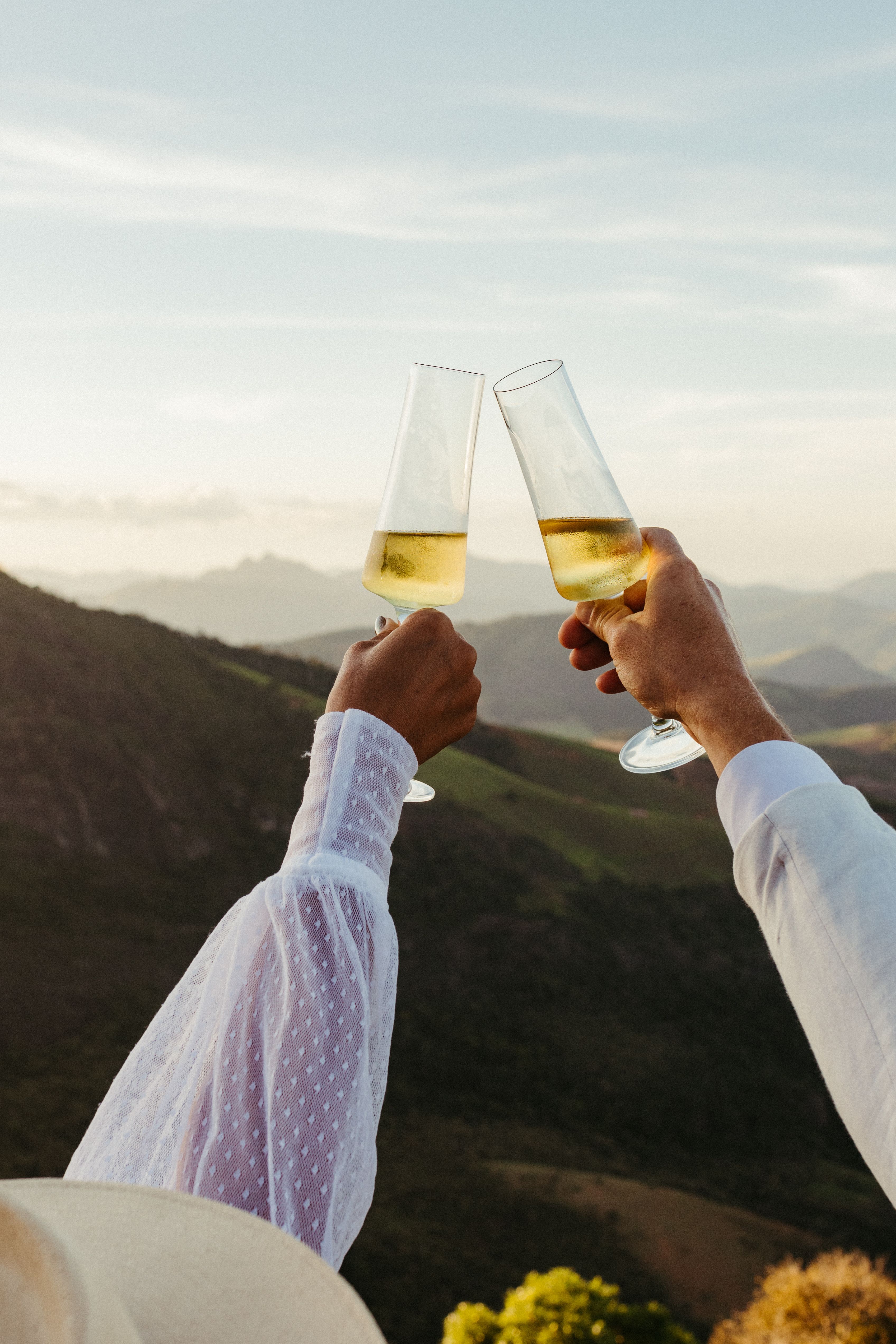 Champagne Toast Bird Eye View Photos, Download The BEST Free Champagne ...