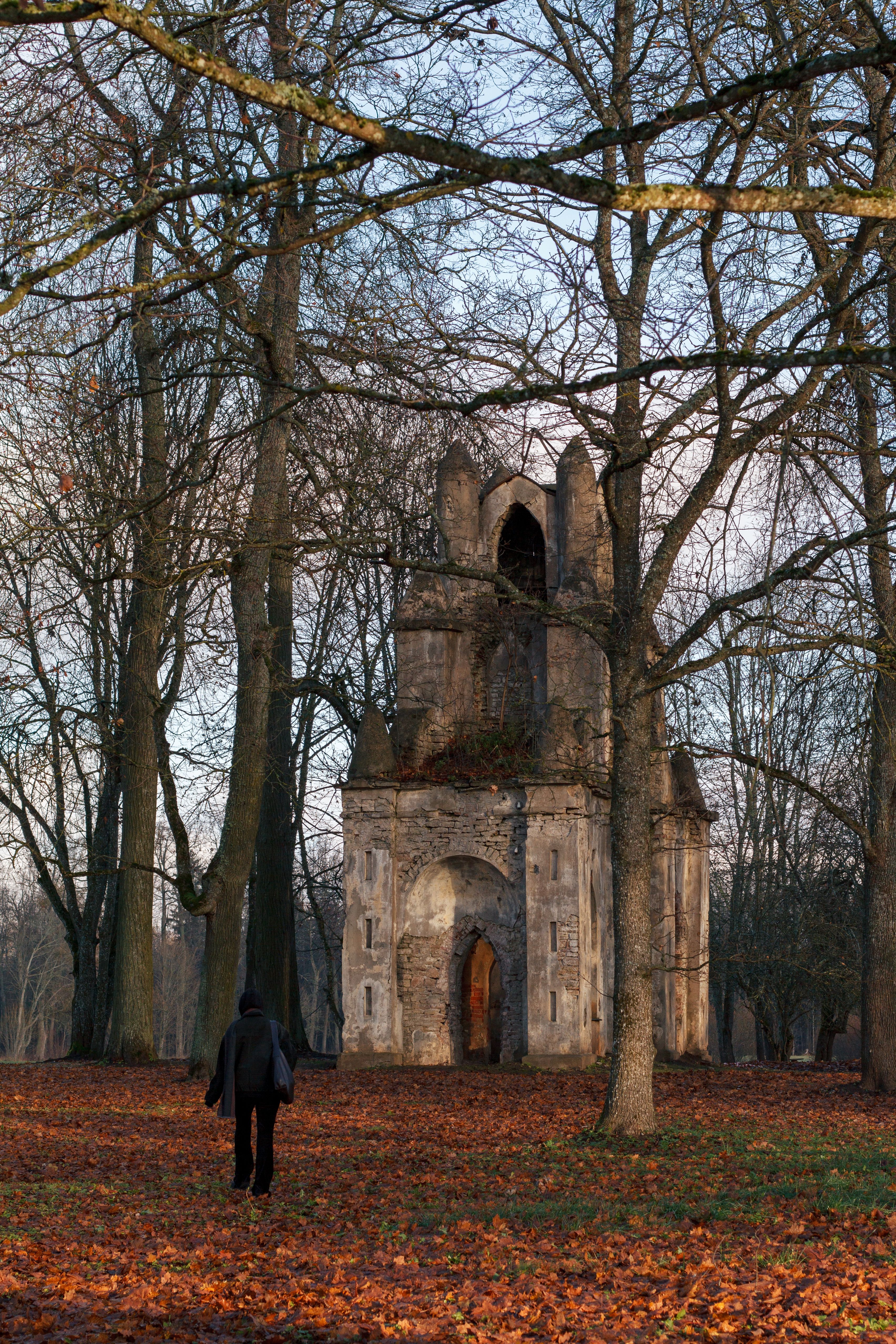 Historic Ruins Amid Autumn Trees in Saint Petersburg · Free Stock Photo