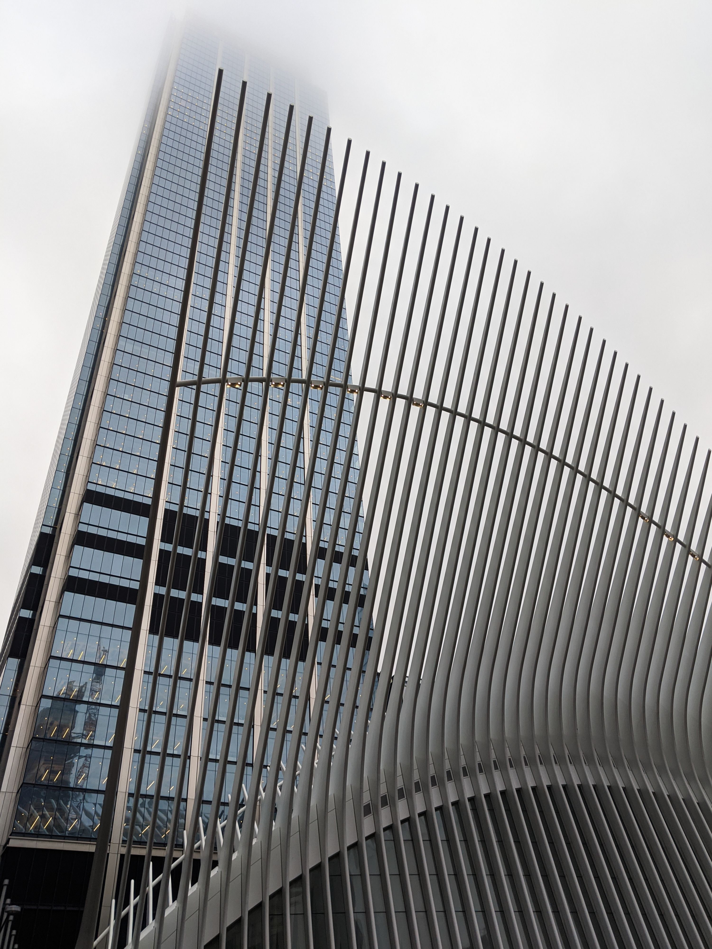 Monochrome View of Oculus Interior Architecture · Free Stock Photo