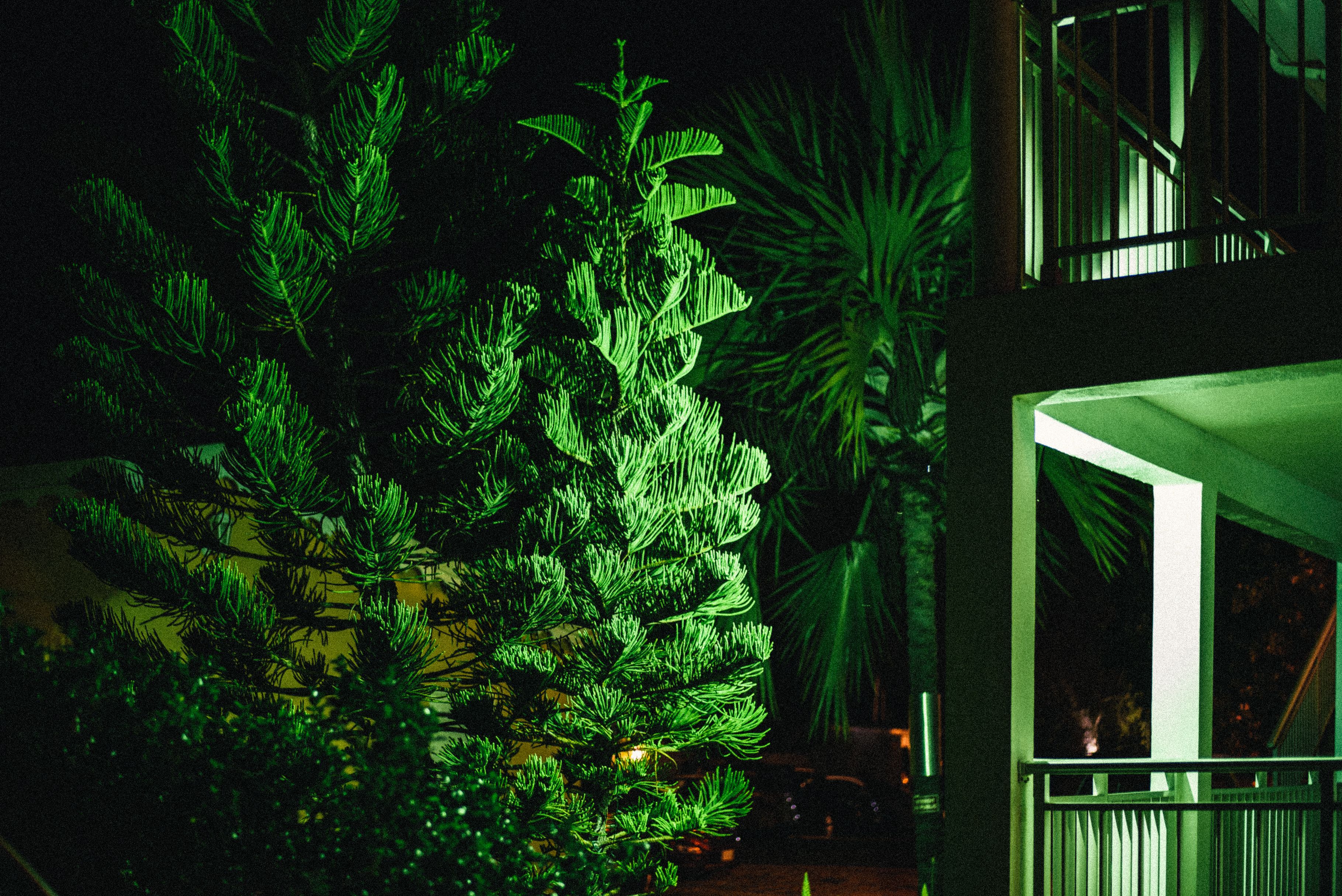 Green Plants Near A building · Free Stock Photo
