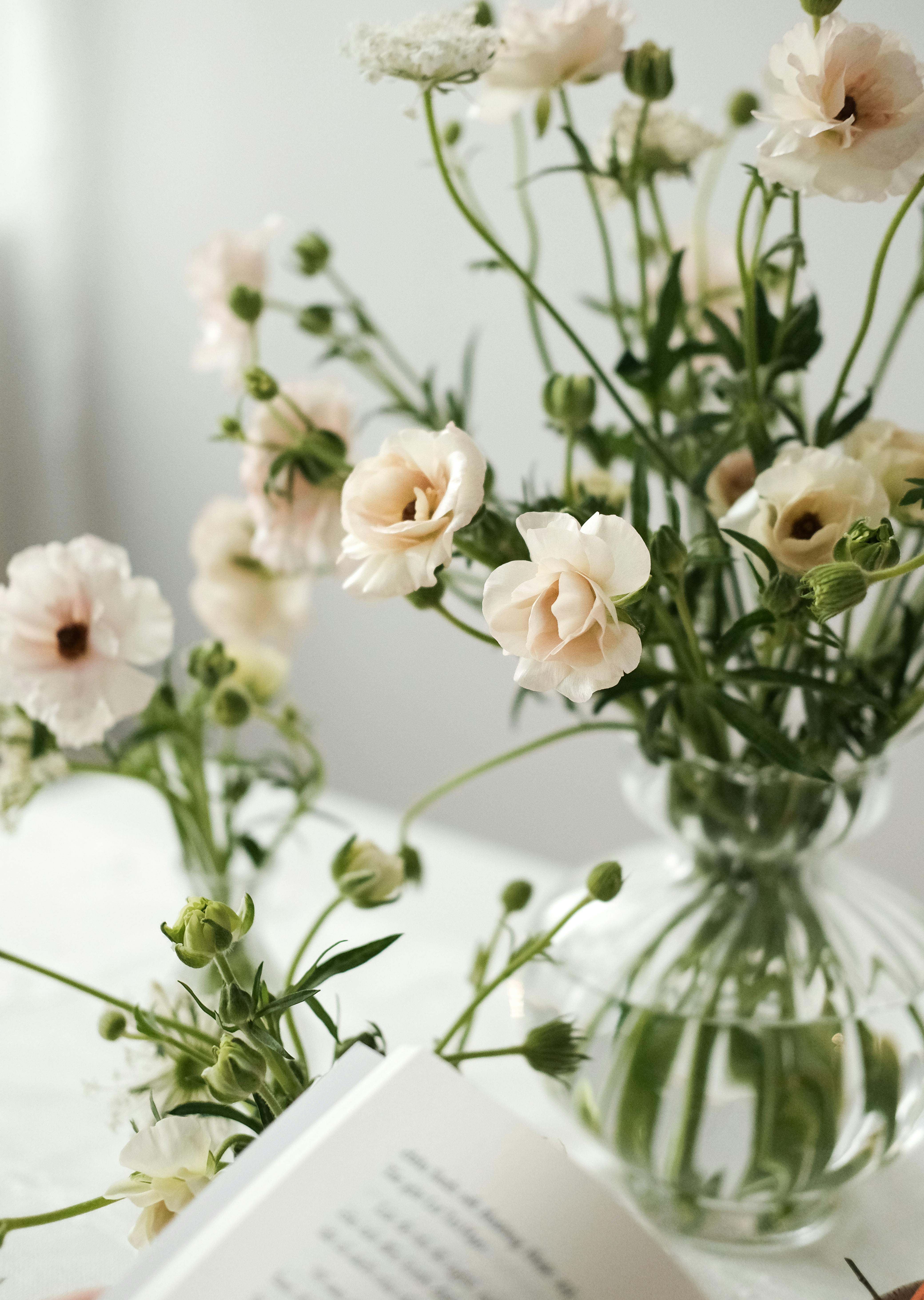 Elegant Vase of Soft White Roses in Natural Light · Free Stock Photo