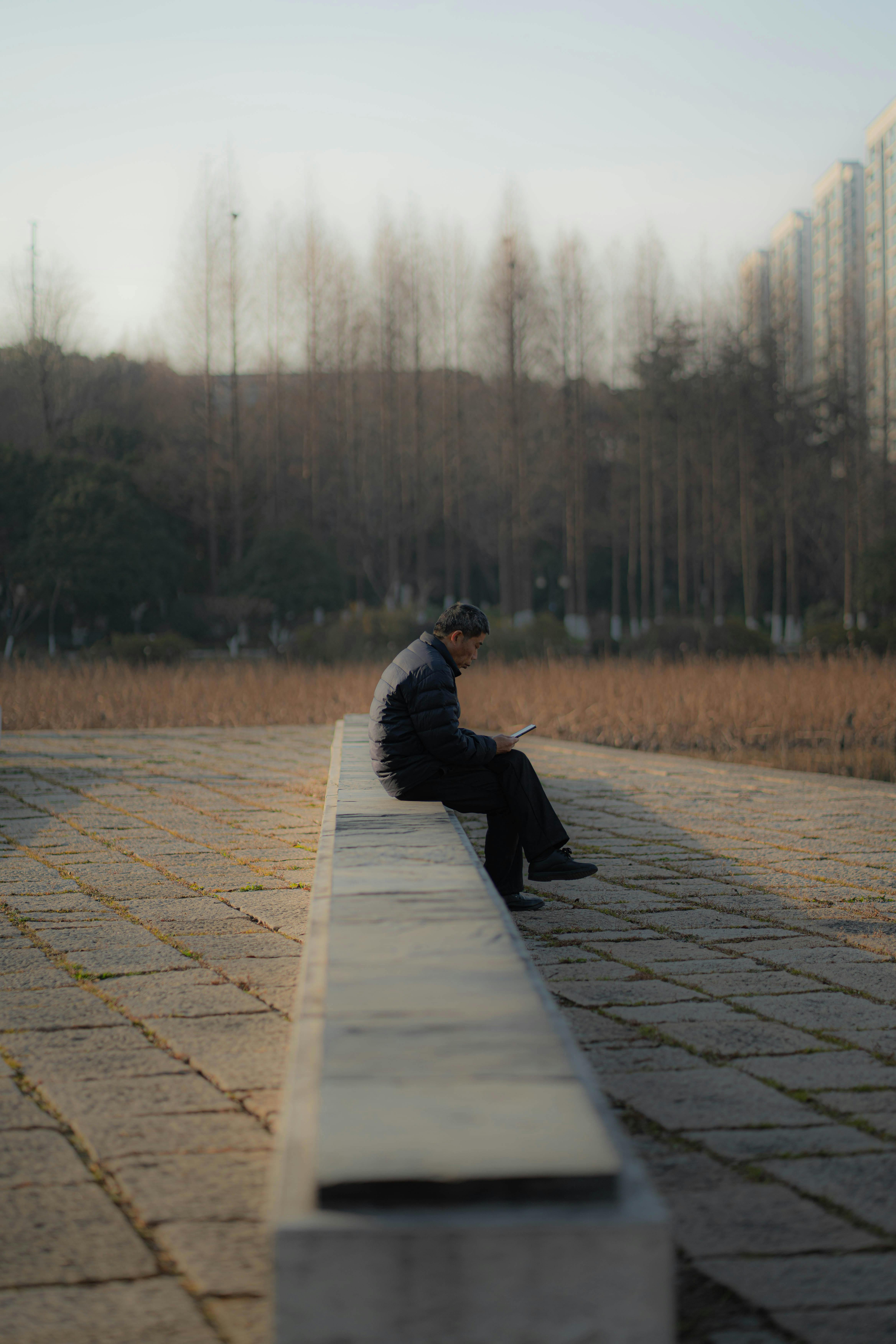Solitary Elderly Man Reading in Tranquil Park · Free Stock Photo
