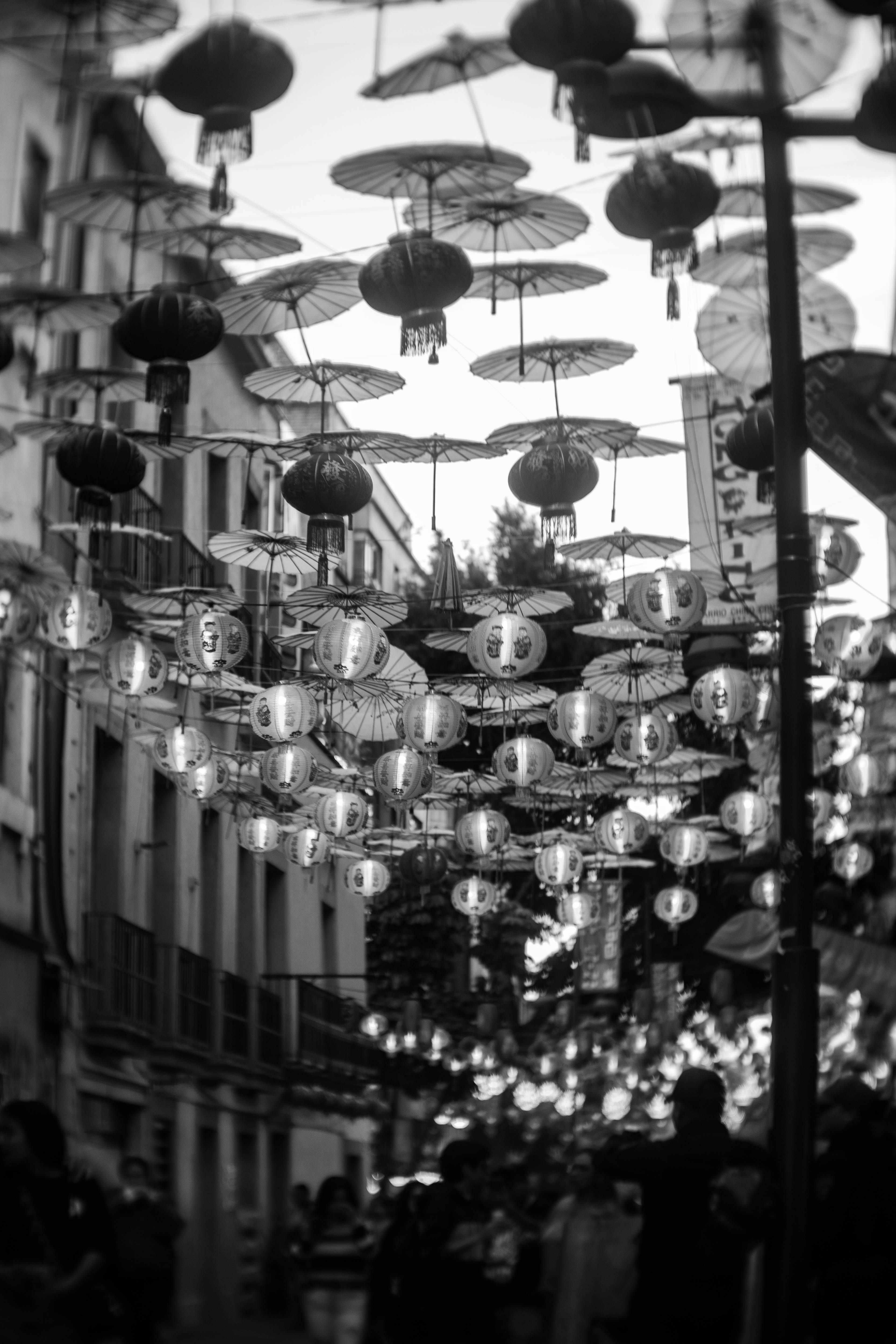 Hanging Art Installation Photos, Download The BEST Free Hanging Art ...