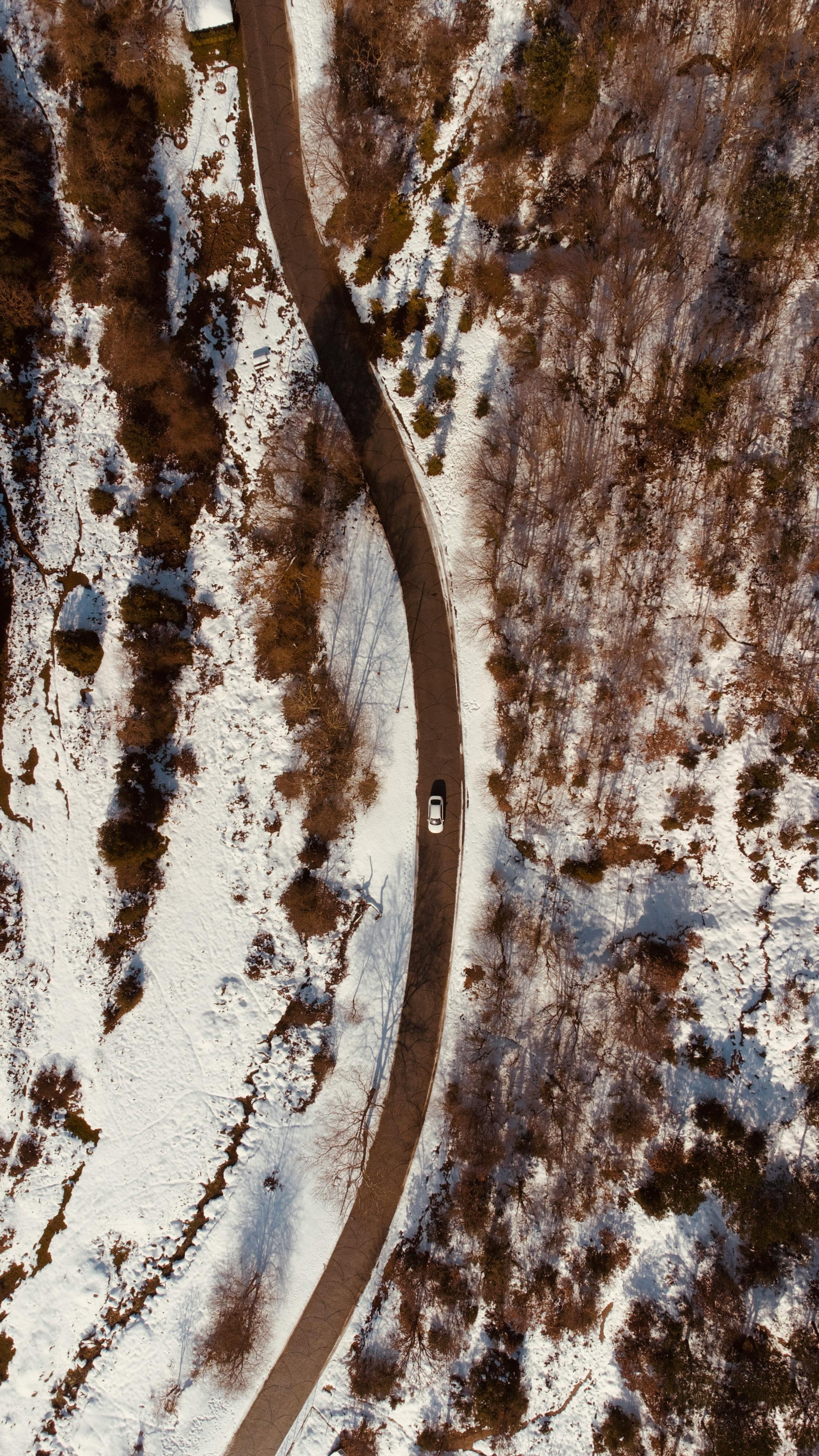 Hitler 4k Photos, Download The BEST Free Hitler 4k Stock Photos & HD Images