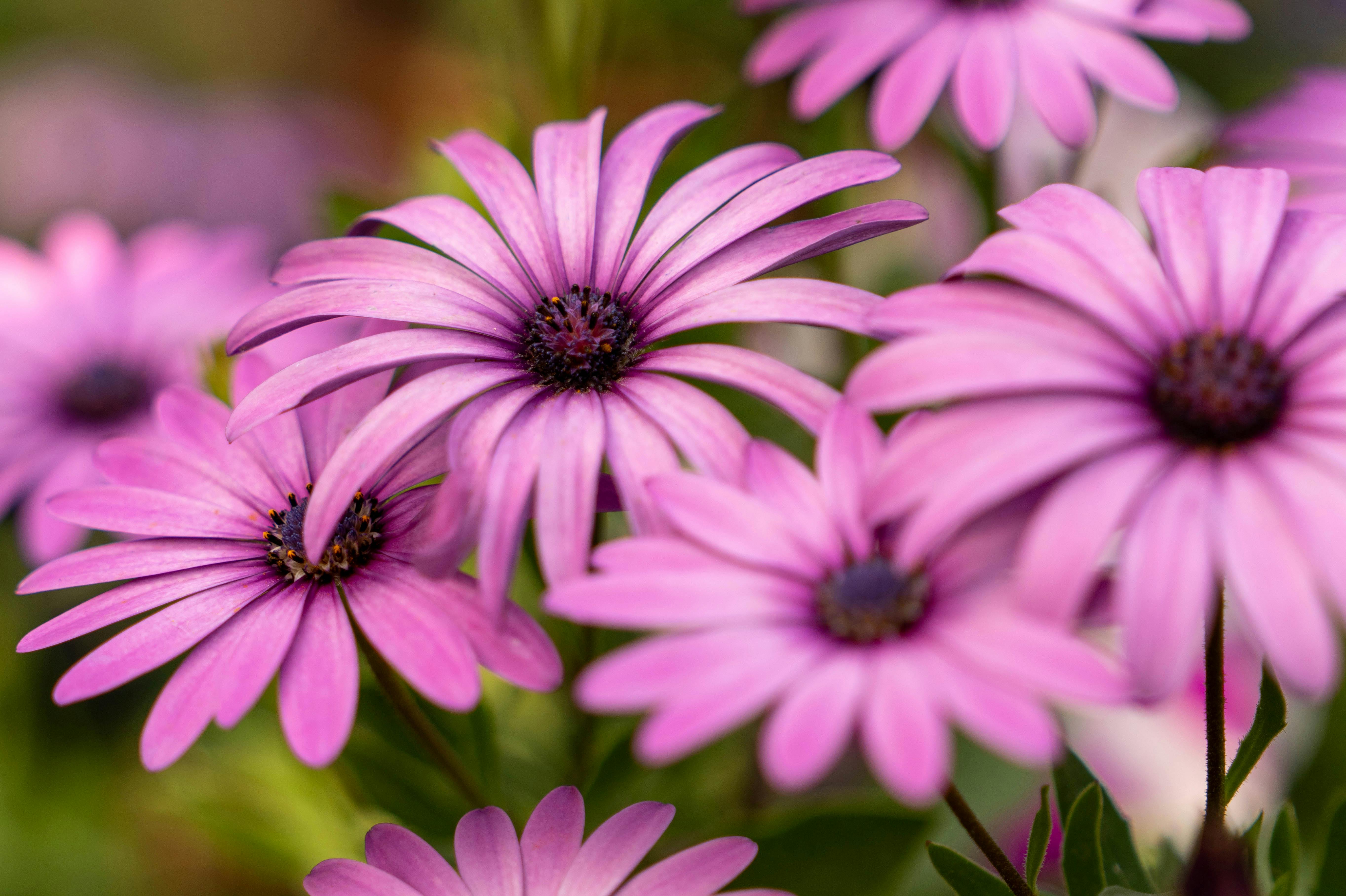 Jvid+Images Photos, Download The BEST Free Jvid+Images Stock Photos ...