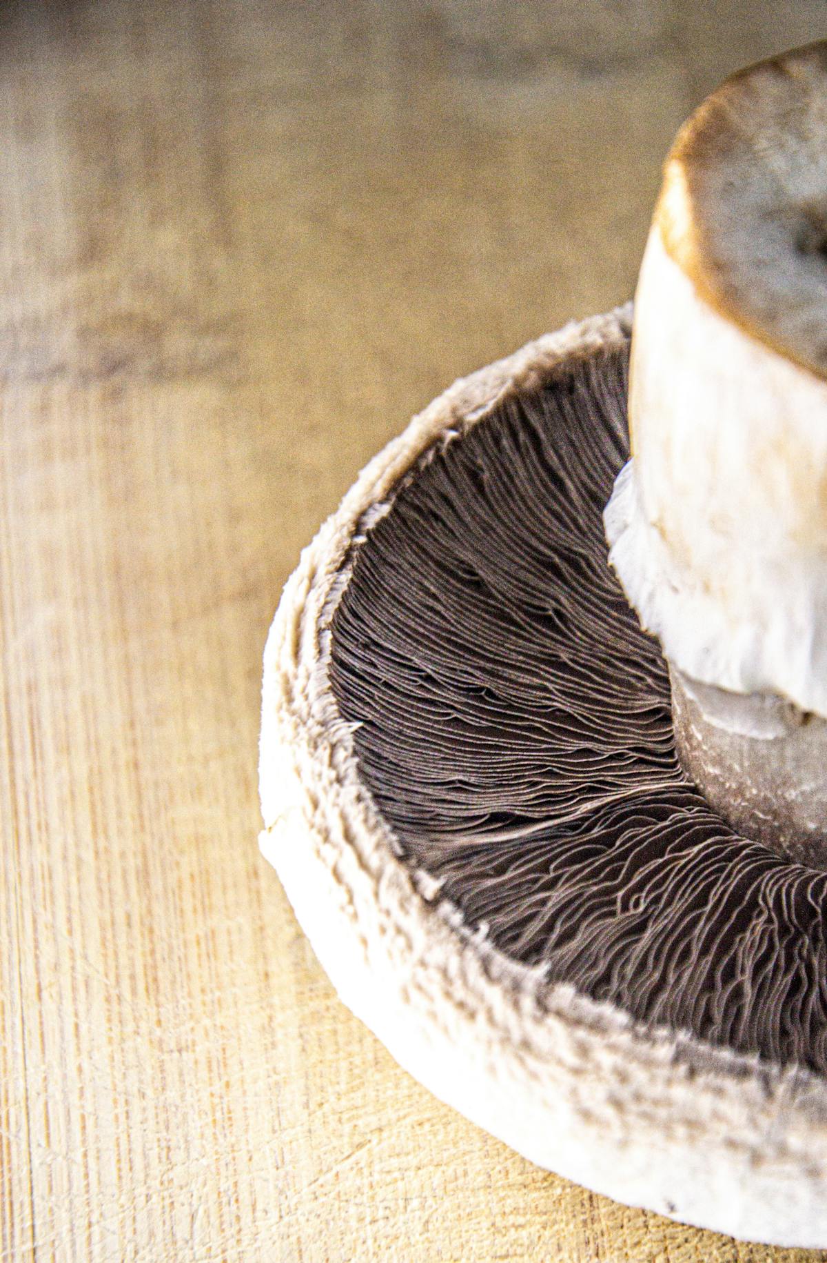 Mushroom Texture Photos, Download The BEST Free Mushroom Texture Stock ...