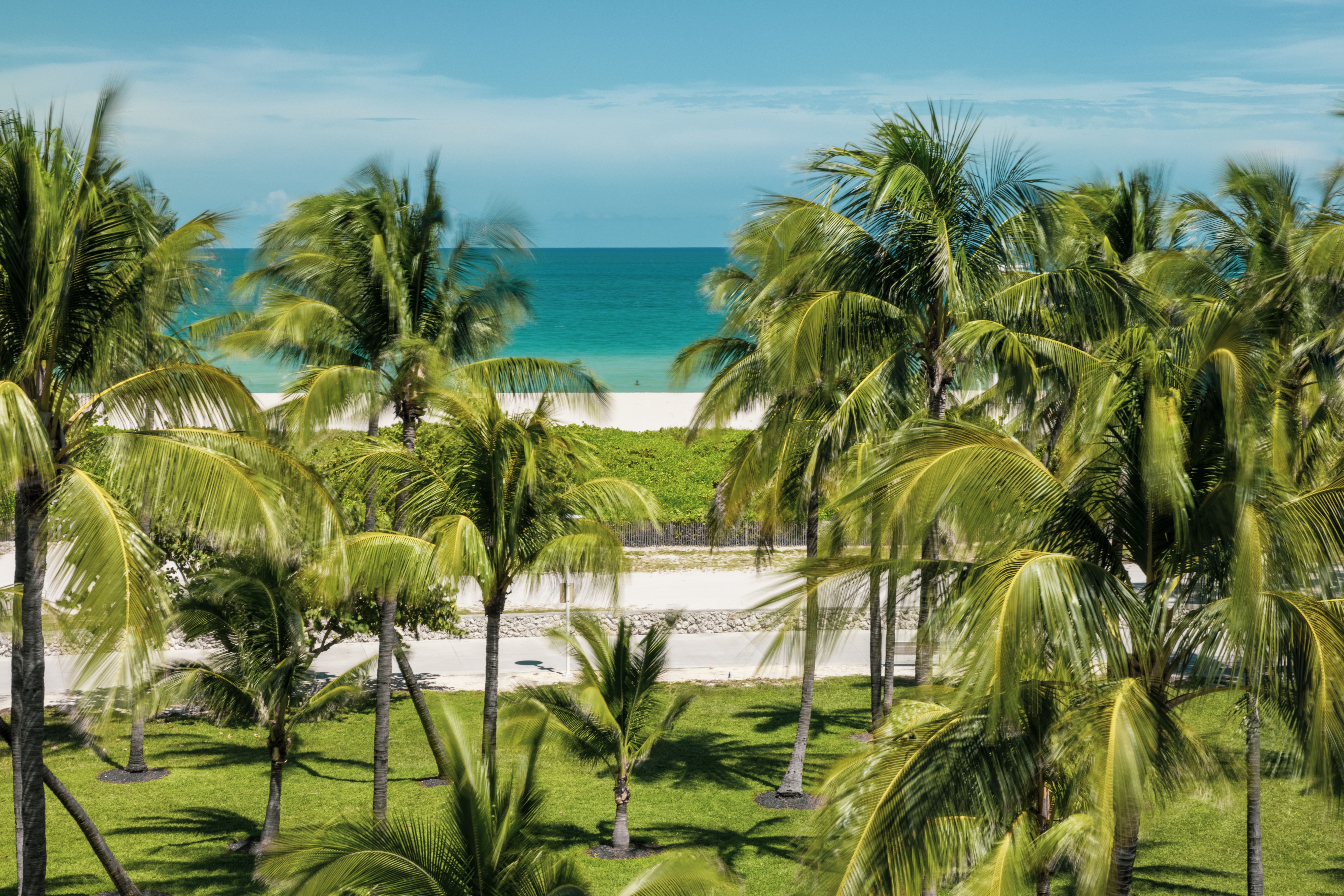Scenic View of Palm Trees at Miami Beach · Free Stock Photo