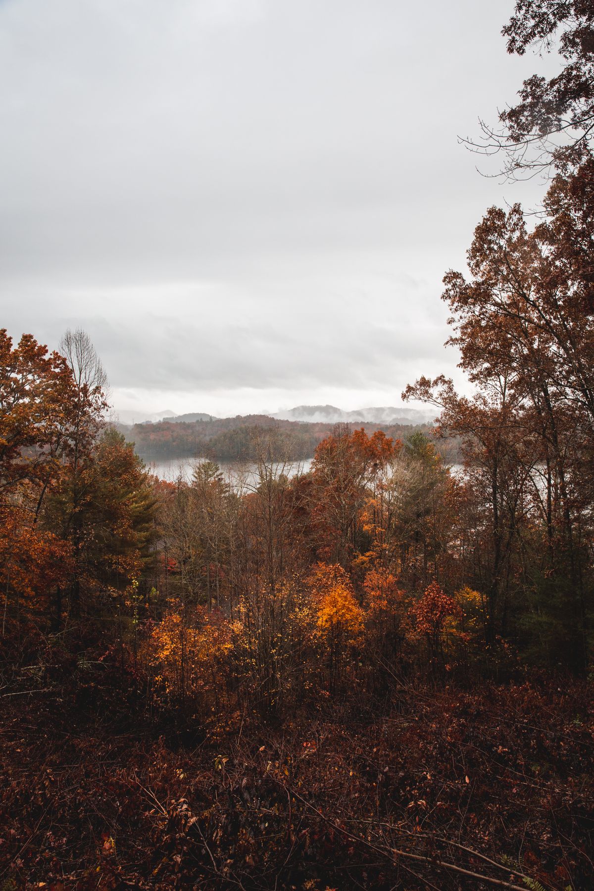 Tennessee Wallpaper Photos, Download The BEST Free Tennessee Wallpaper ...