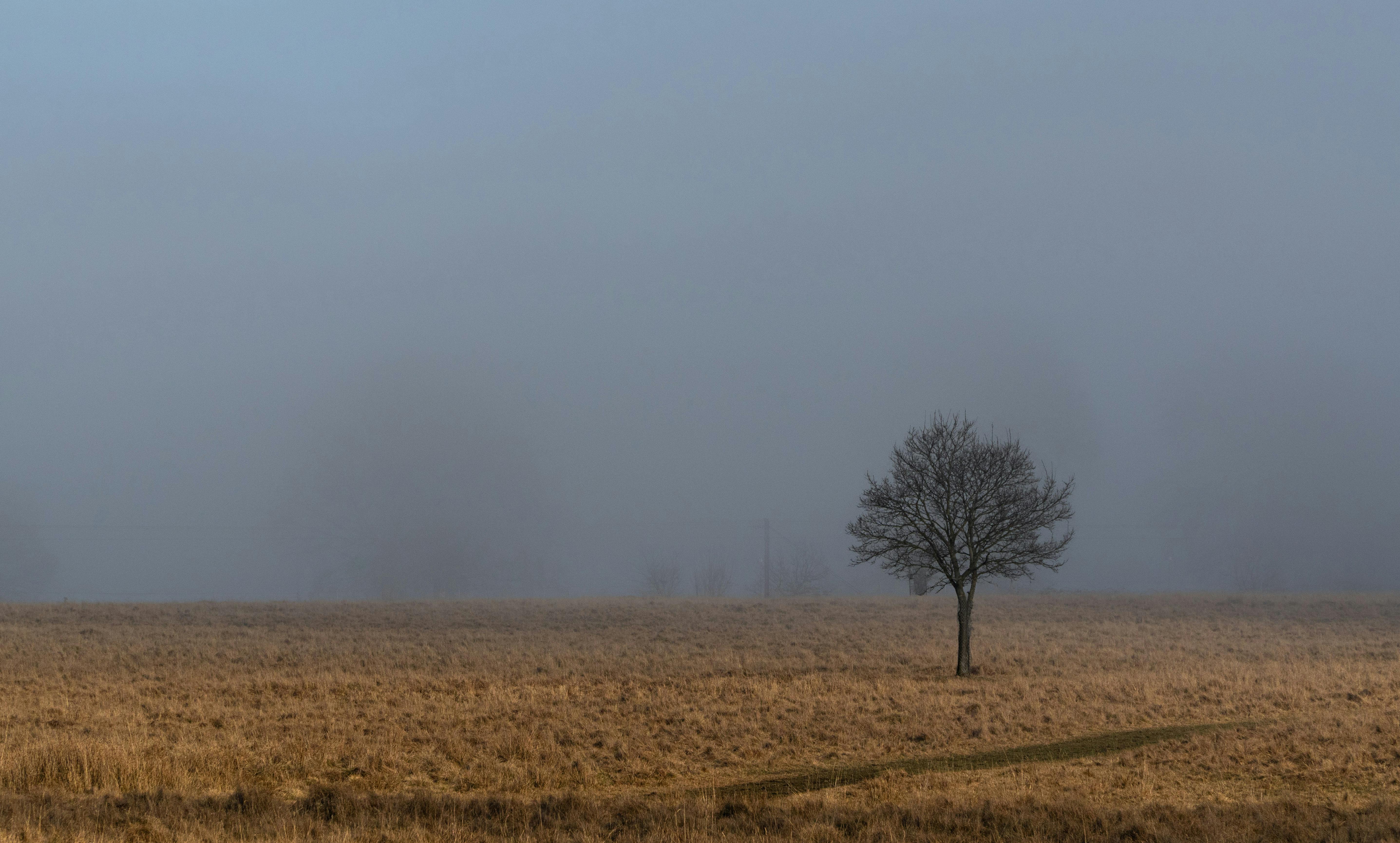 Catalogo Dis Photos, Download The BEST Free Catalogo Dis Stock Photos ...