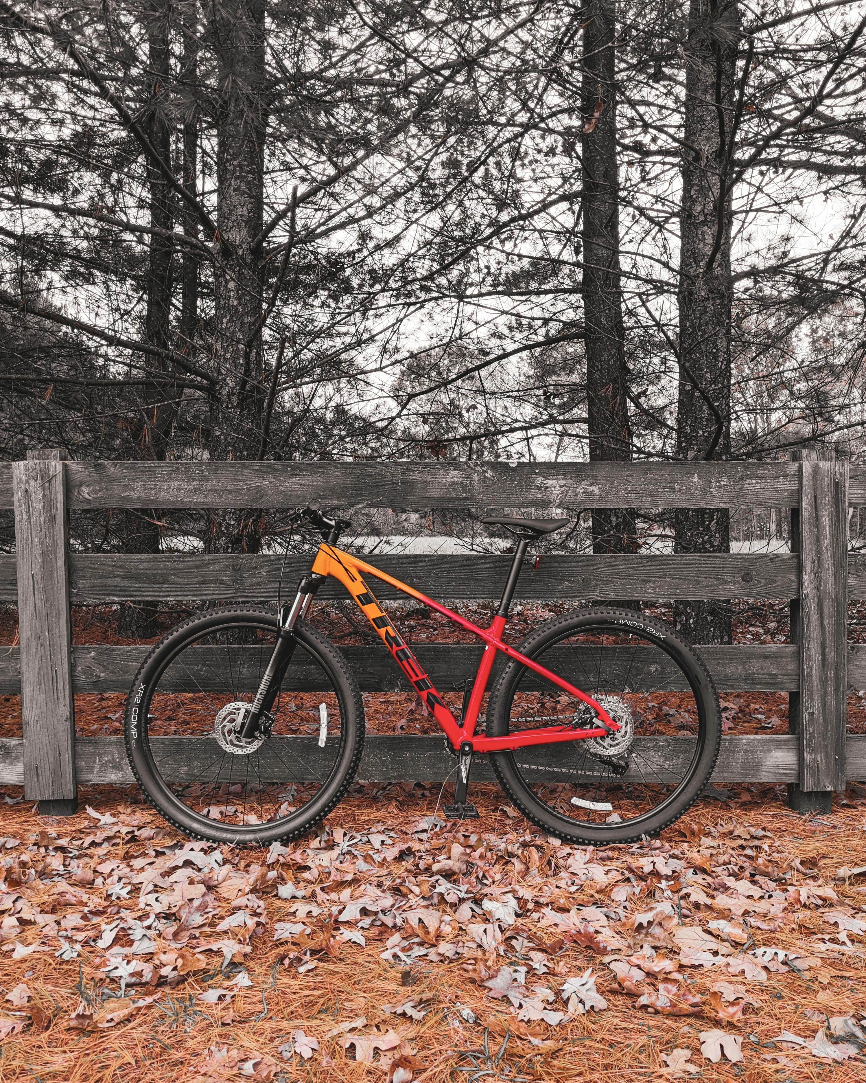 Mountain Bike Leaning Against Tree in Autumn Forest · Free Stock Photo