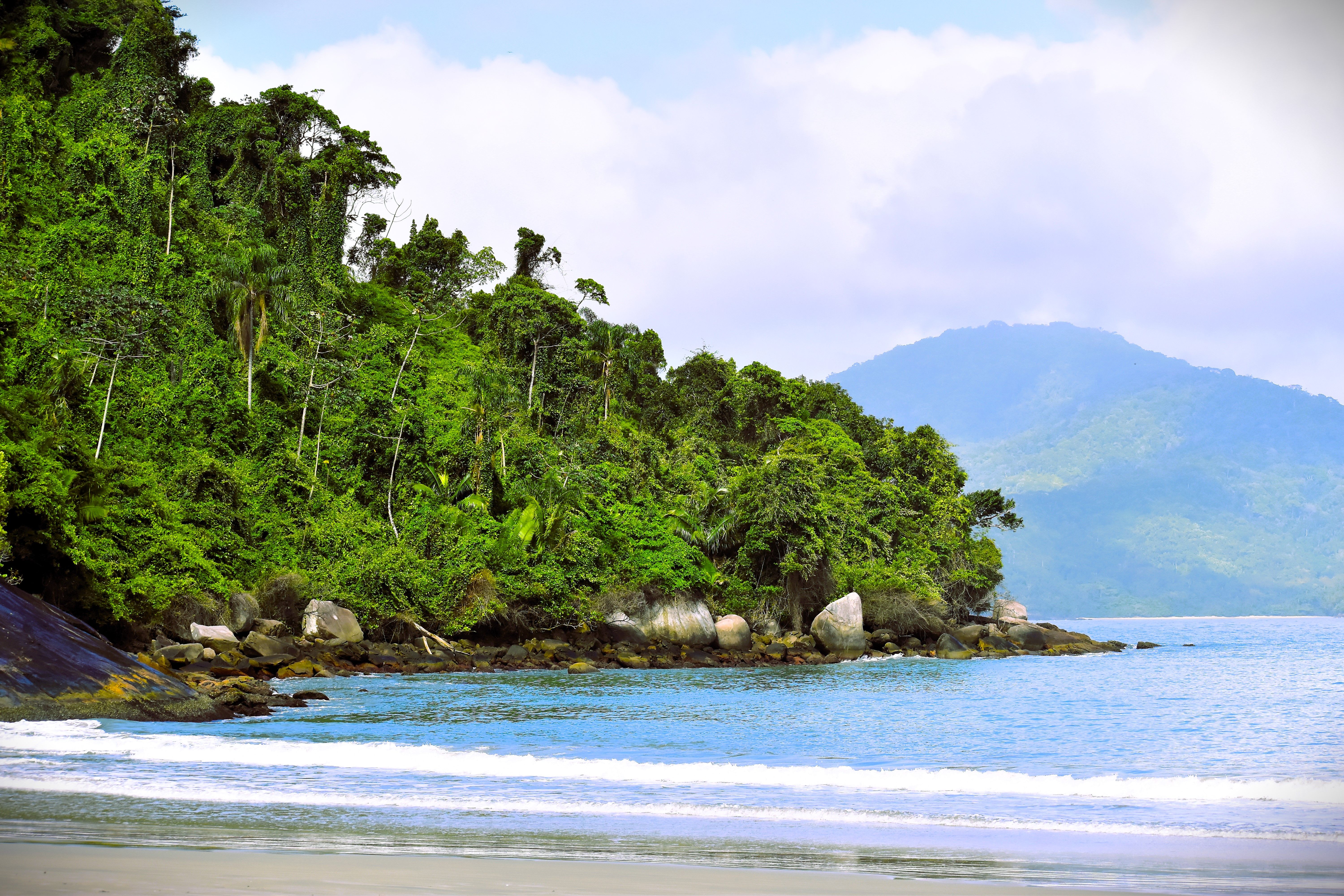 Tropical Beach with Lush Greenery and Calm Waters · Free Stock Photo