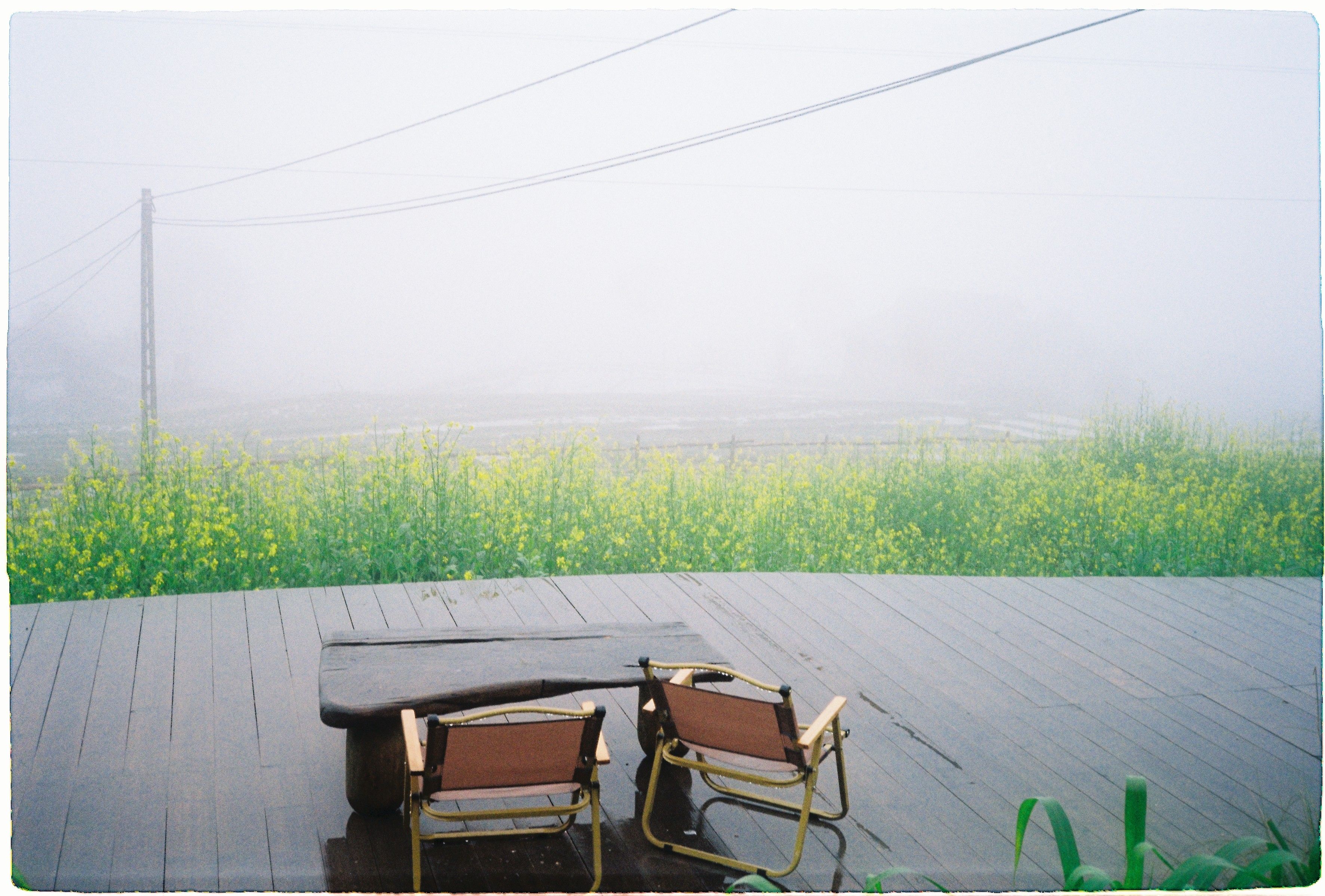 Foggy Scenic View in Lao Cai, Vietnam Terrace · Free Stock Photo