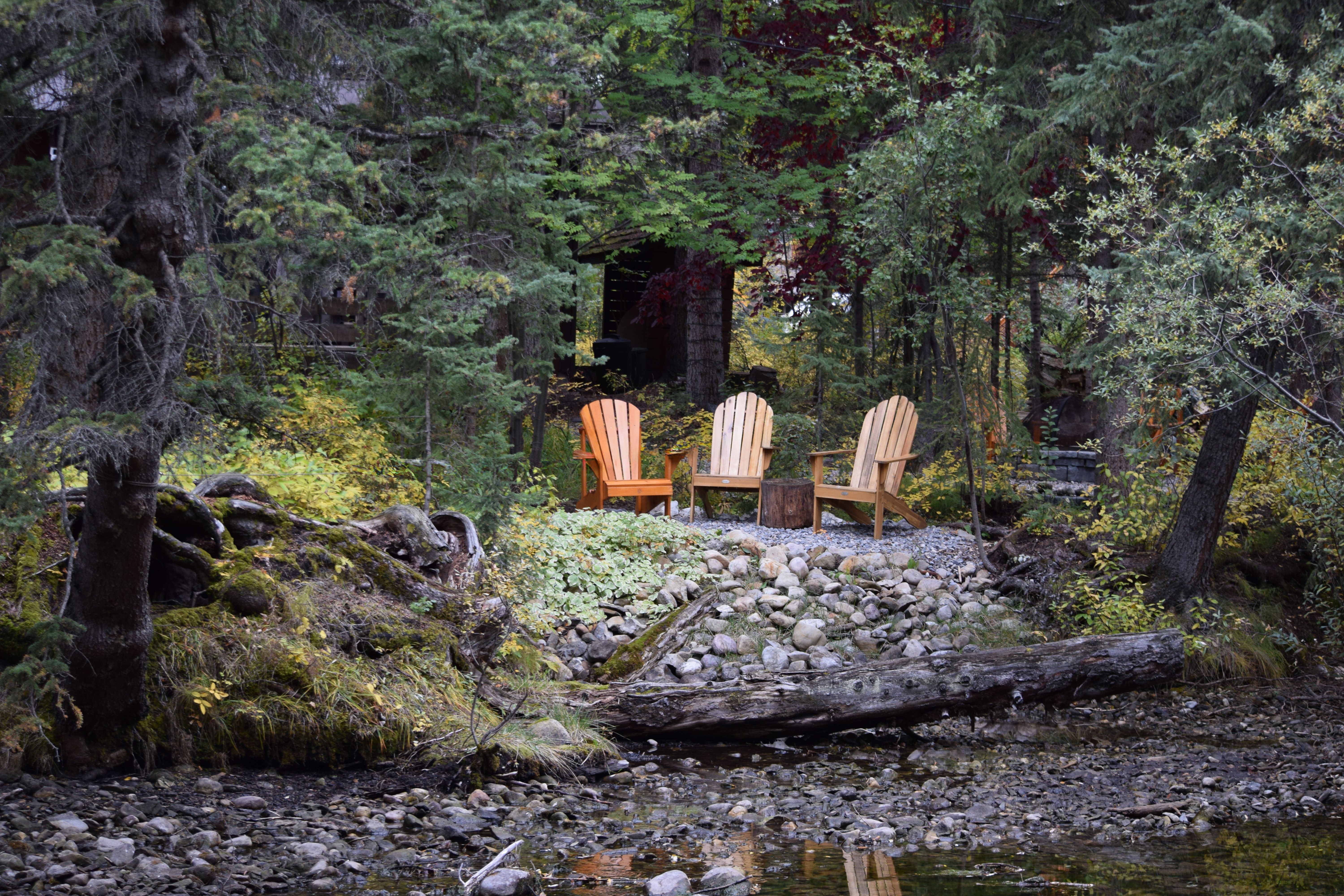 Tranquil Forest Seating Area at Lake Louise · Free Stock Photo